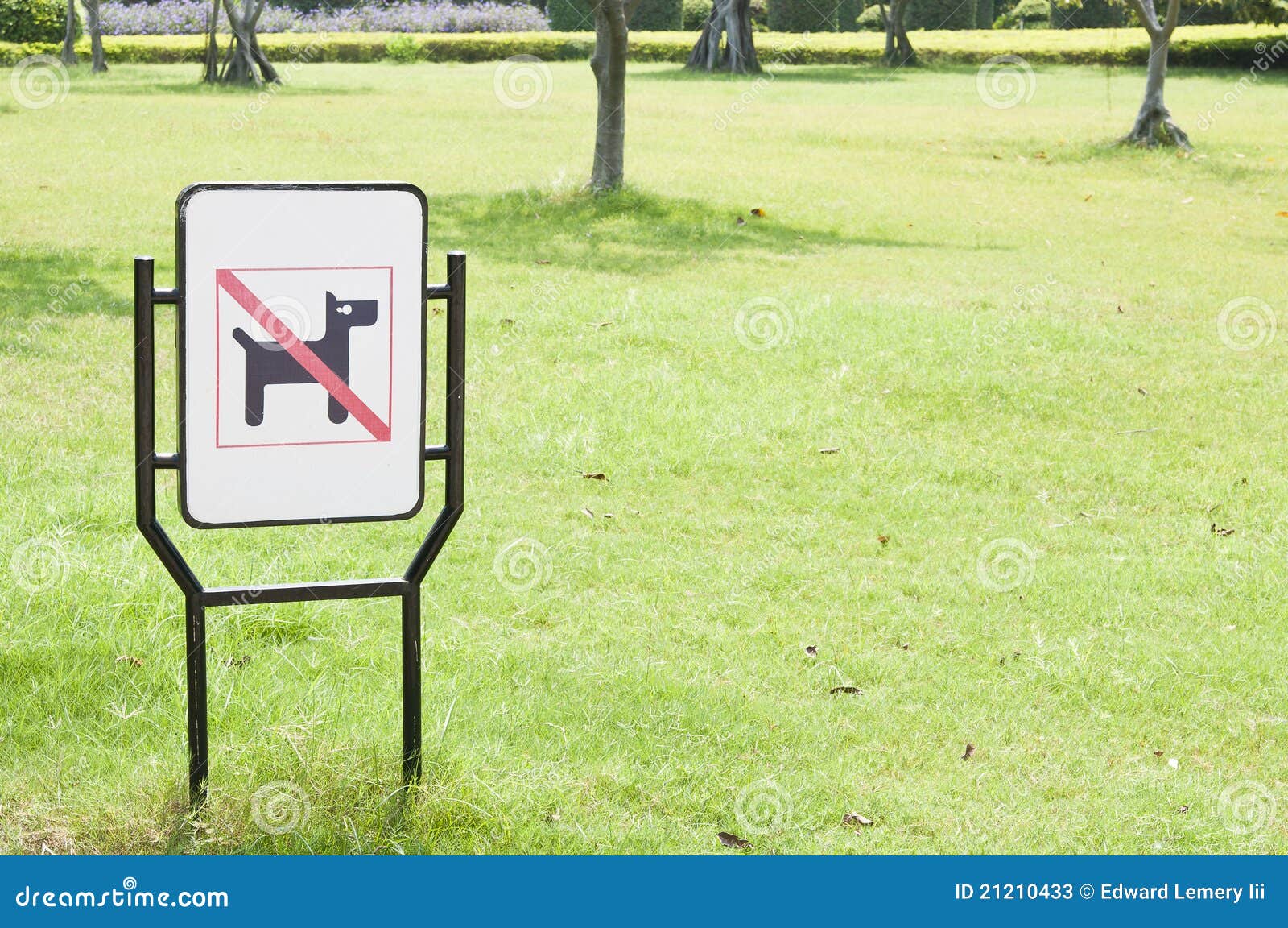 No Dogs Pets Allowed Warning Sign Stock Image - Image of advice, divert ...