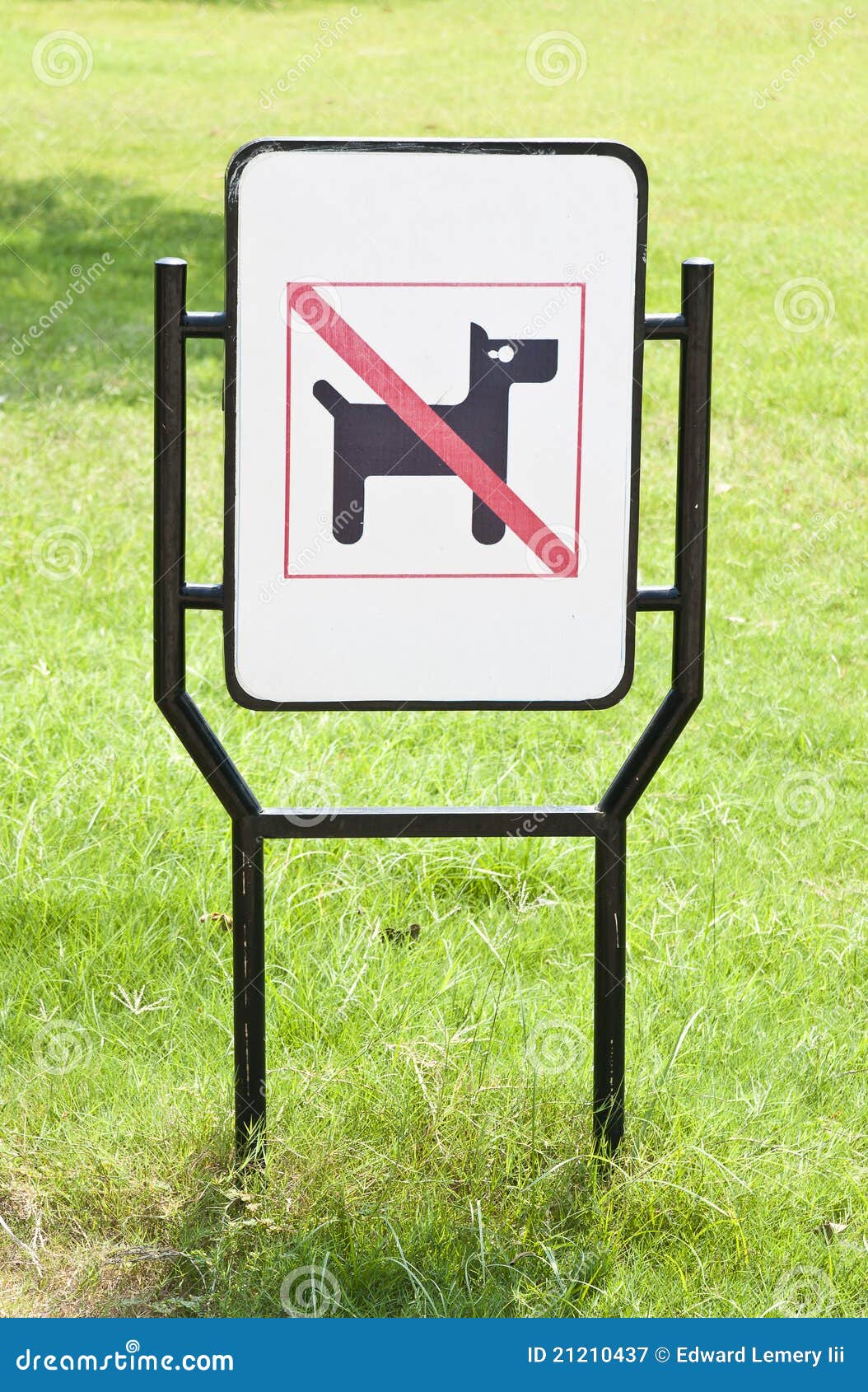 No Dogs Pets Allowed Warning Sign Stock Image - Image of sign ...