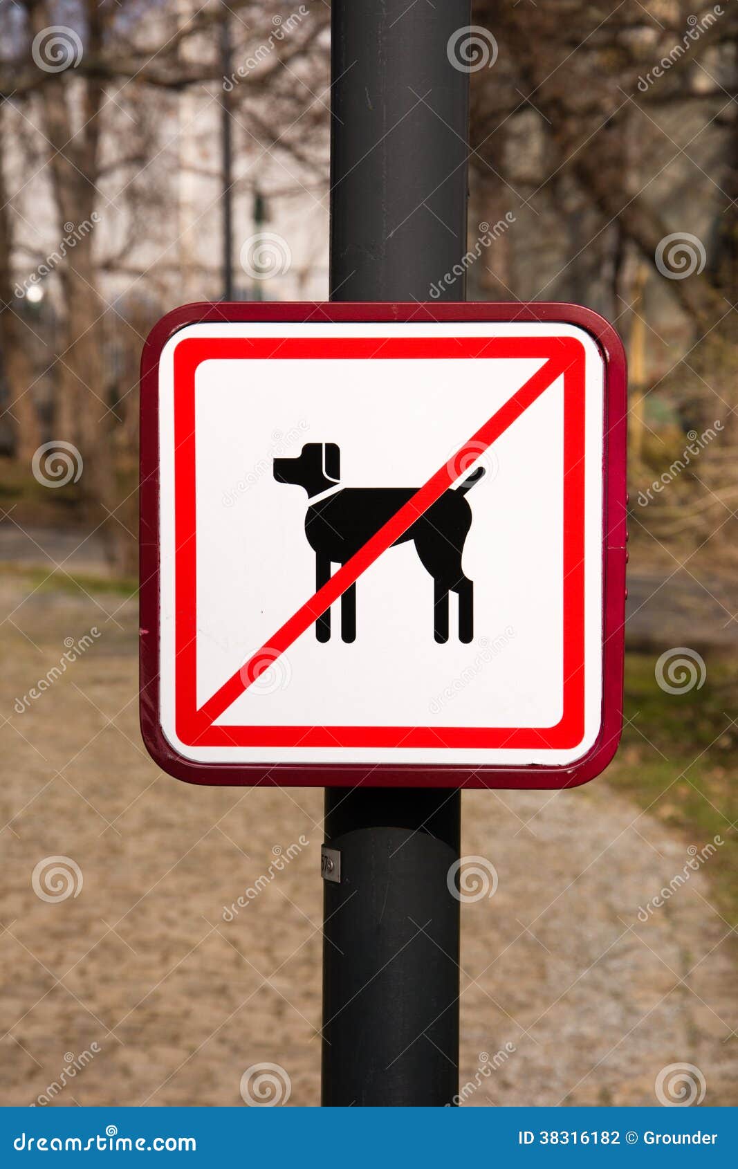 No Dogs Sign stock photo. Image of symbol, danger, entry - 38316182