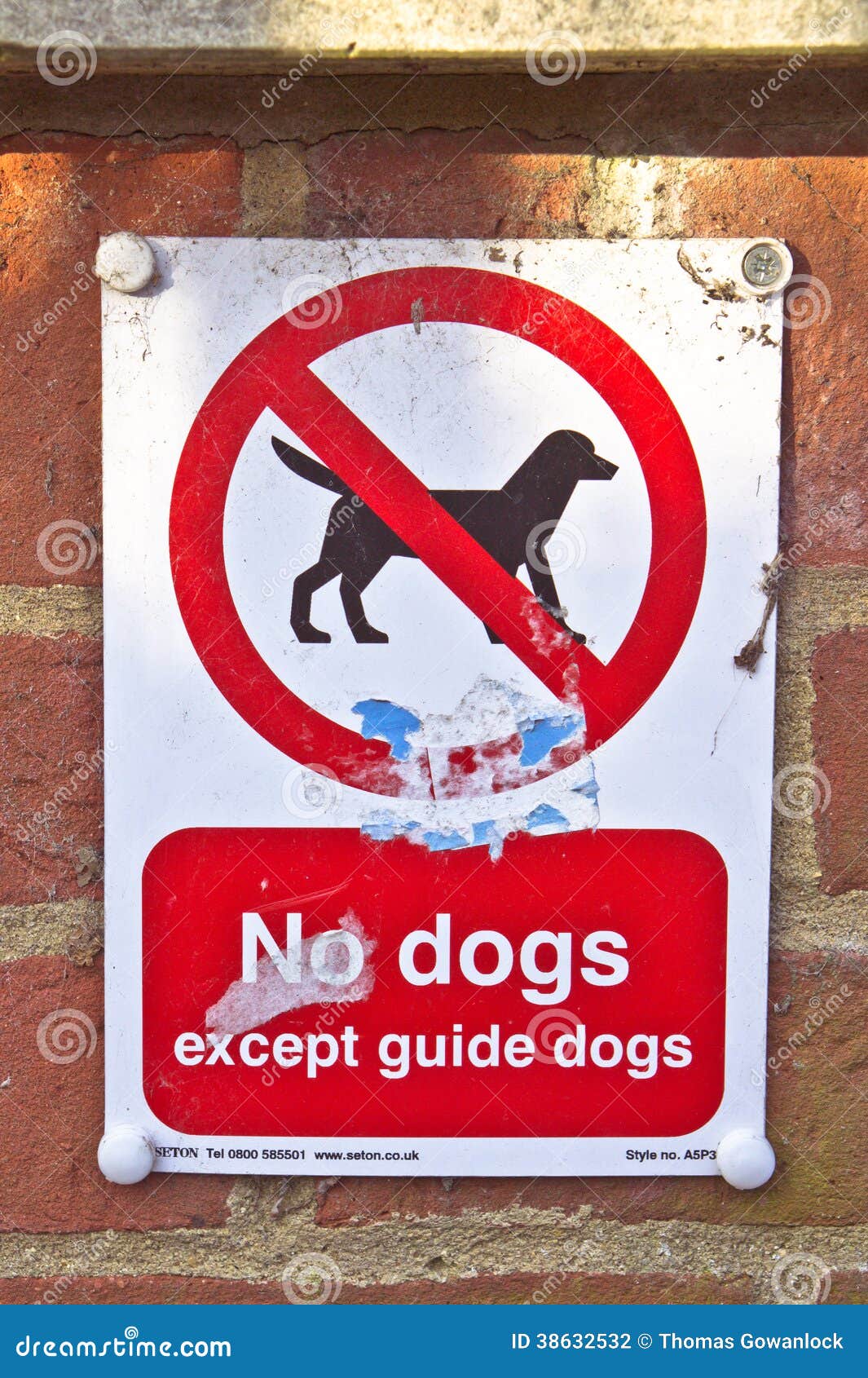 No Dogs Allowed Signs Except Guide Dogs