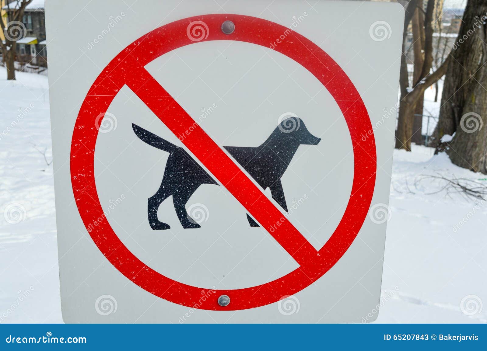 No dogs sign stock image. Image of icon, cross, entry - 65207843