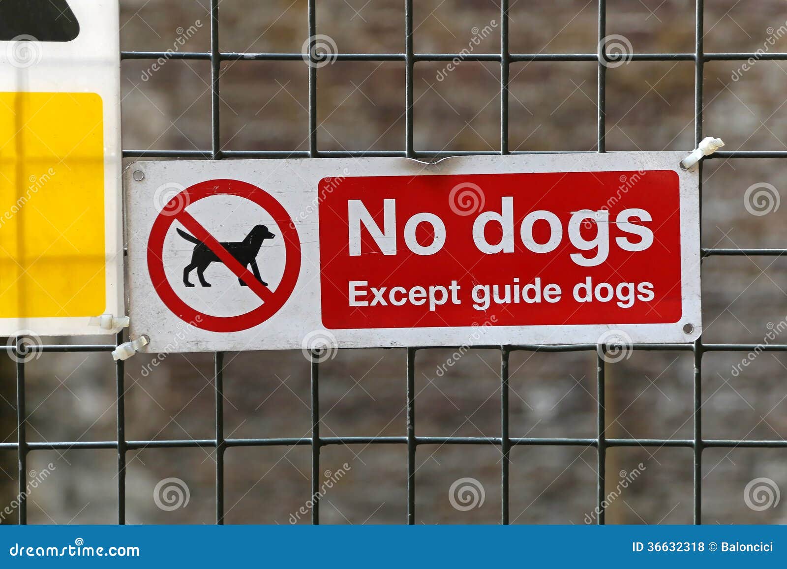 No dogs stock photo. Image of sign, caution, symbol, icon - 36632318