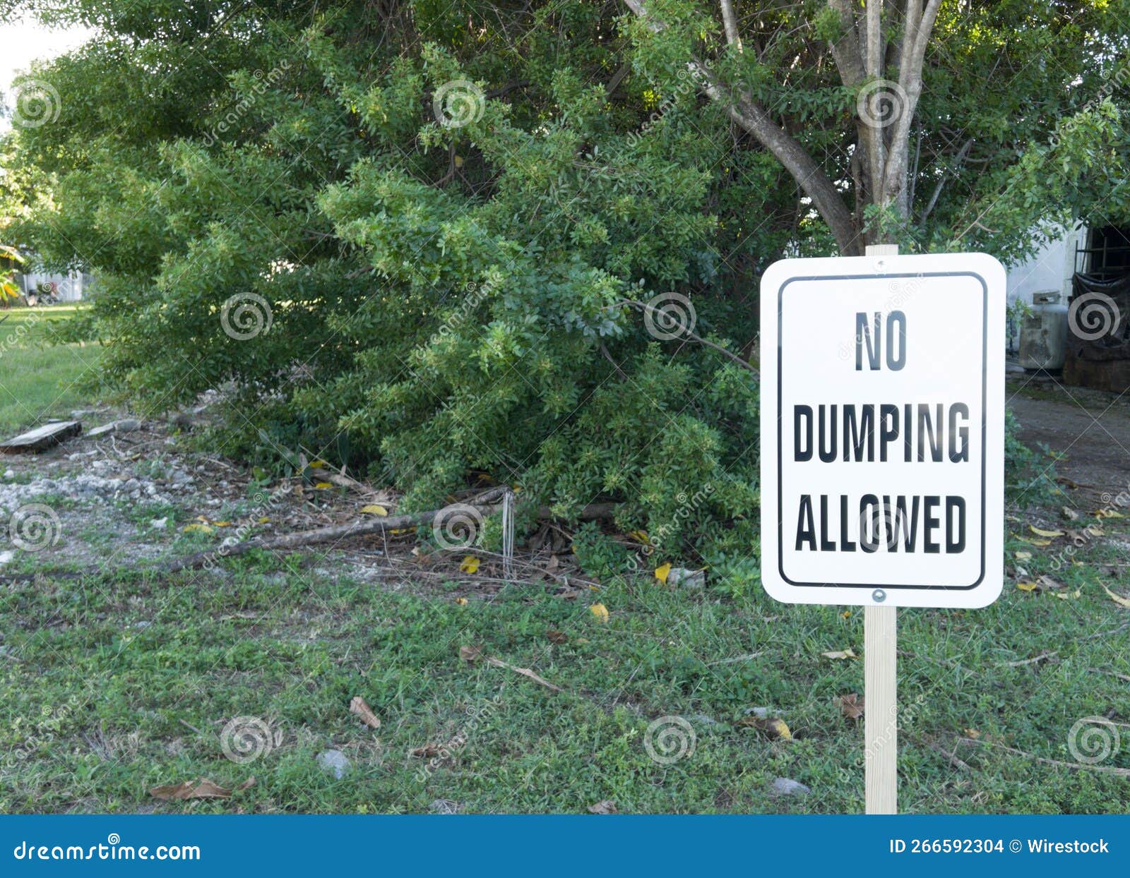 No Dumping Allowed Sign in the Park. Stock Photo - Image of sign ...