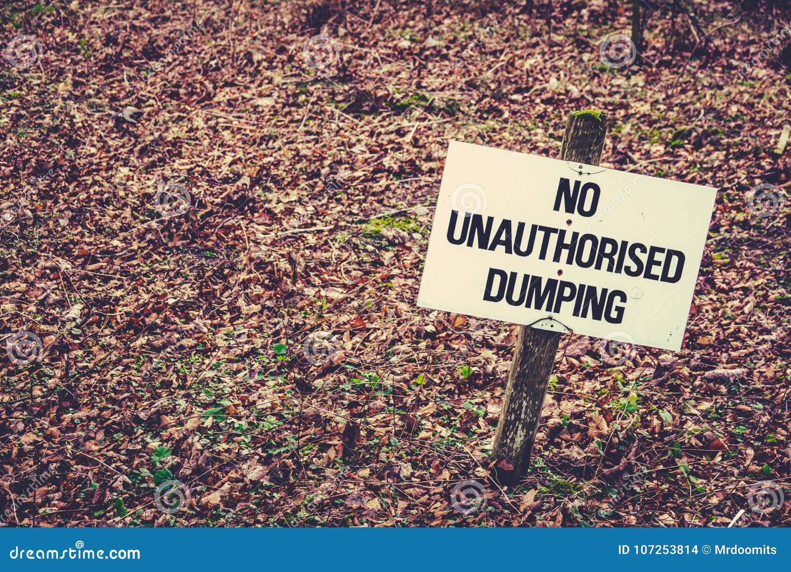 No Dumping Sign stock photo. Image of litter, notice - 107253814