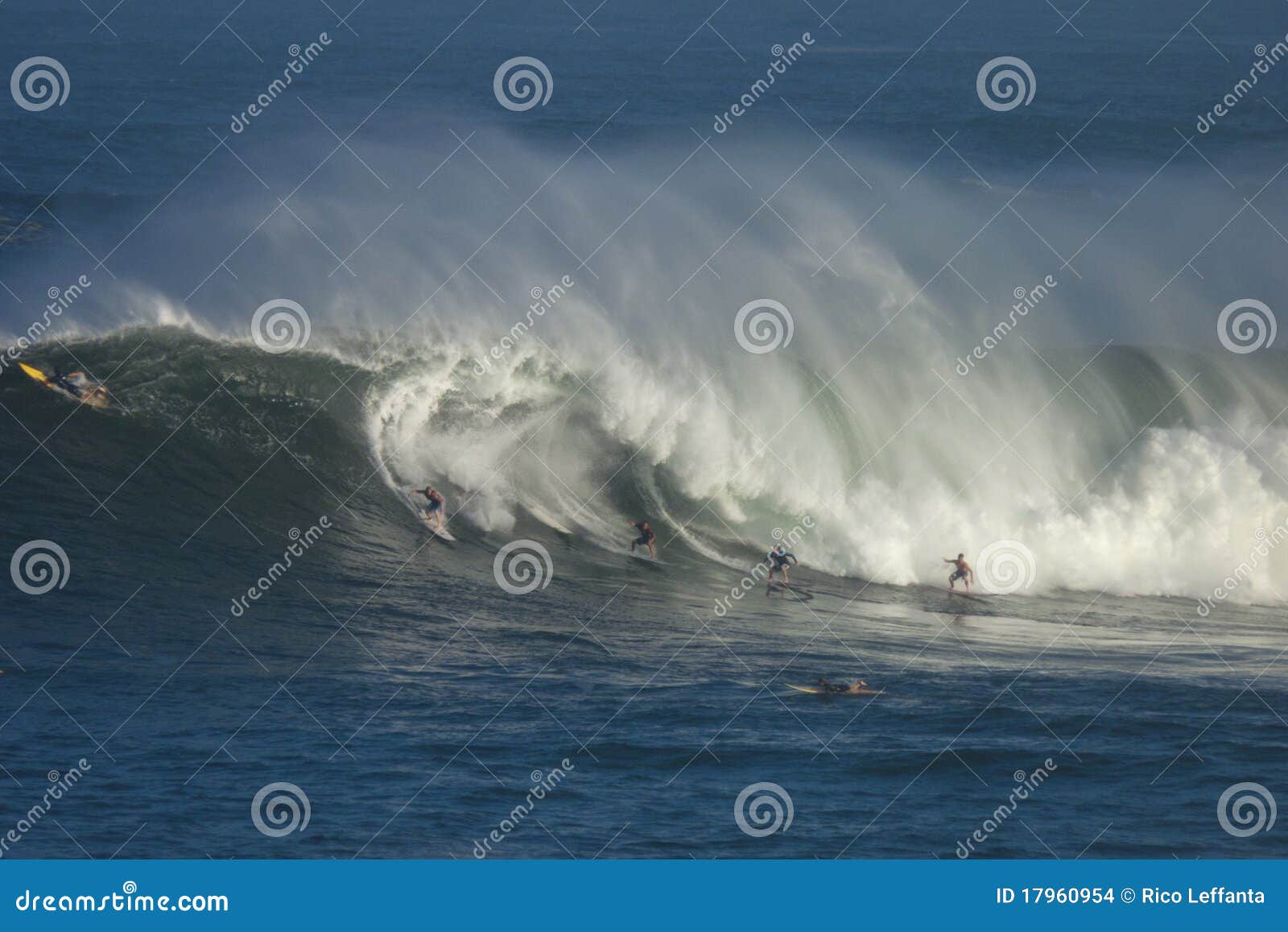 Akau Championship Stock Photos - Free & Royalty-Free Stock Photos from ...