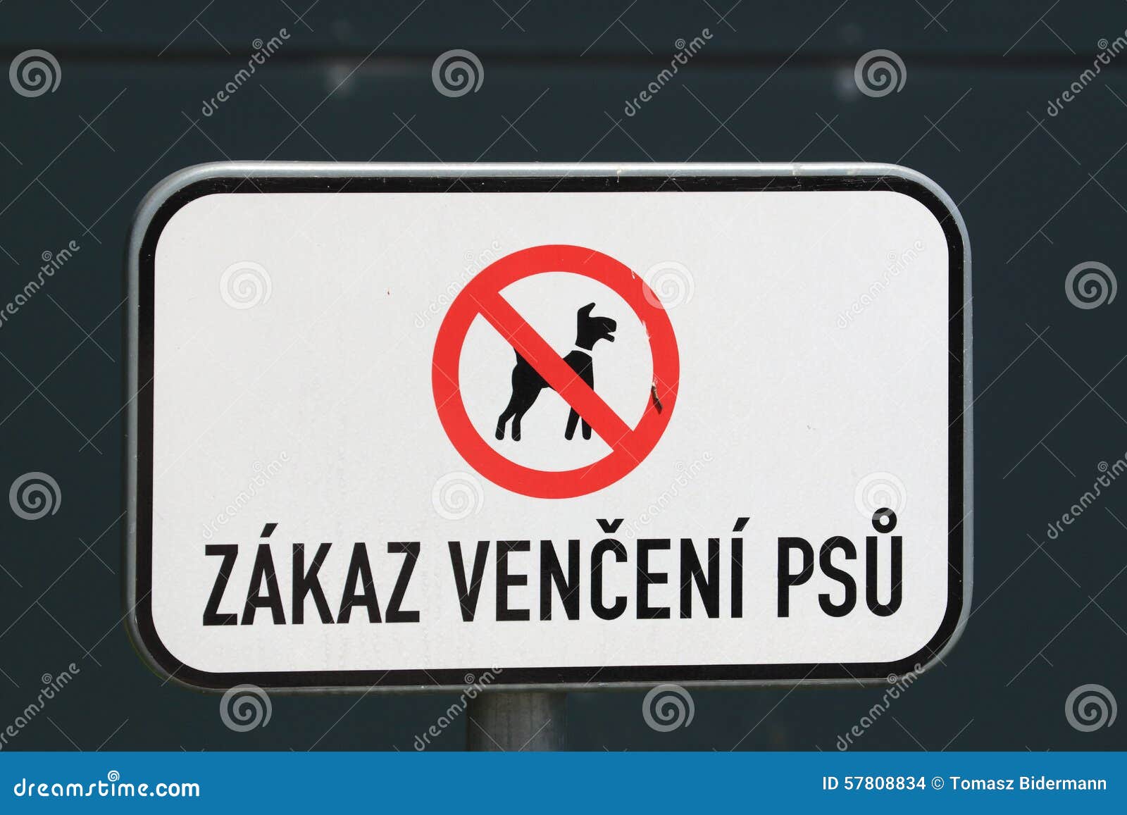 No entry stock photo. Image of prague, puppy, forbidden - 57808834