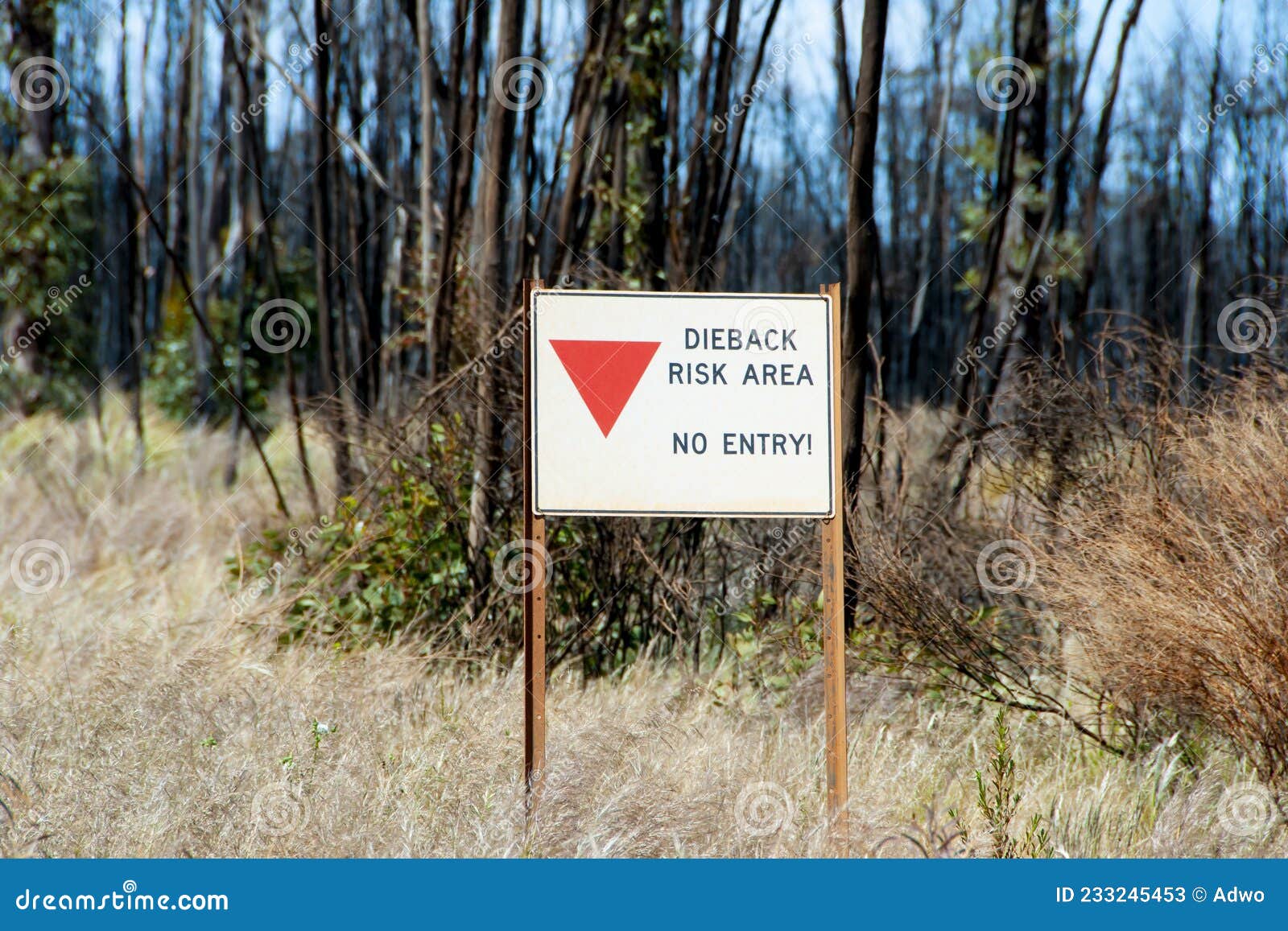 Dieback Risk Area stock image. Image of outdoor, mould - 233245453