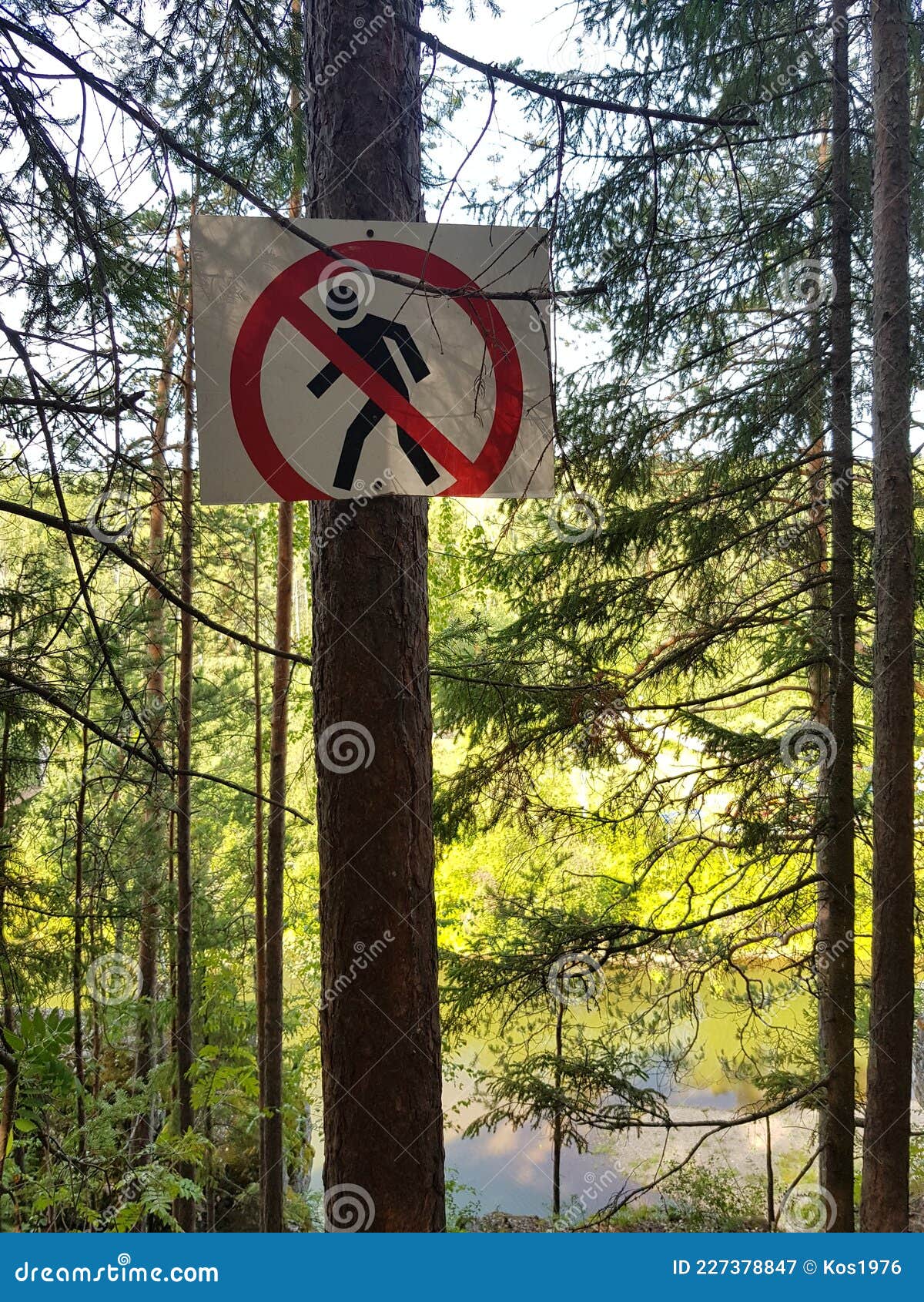 No Entry Sign in the Forest Stock Image - Image of cloud, grass: 227378847