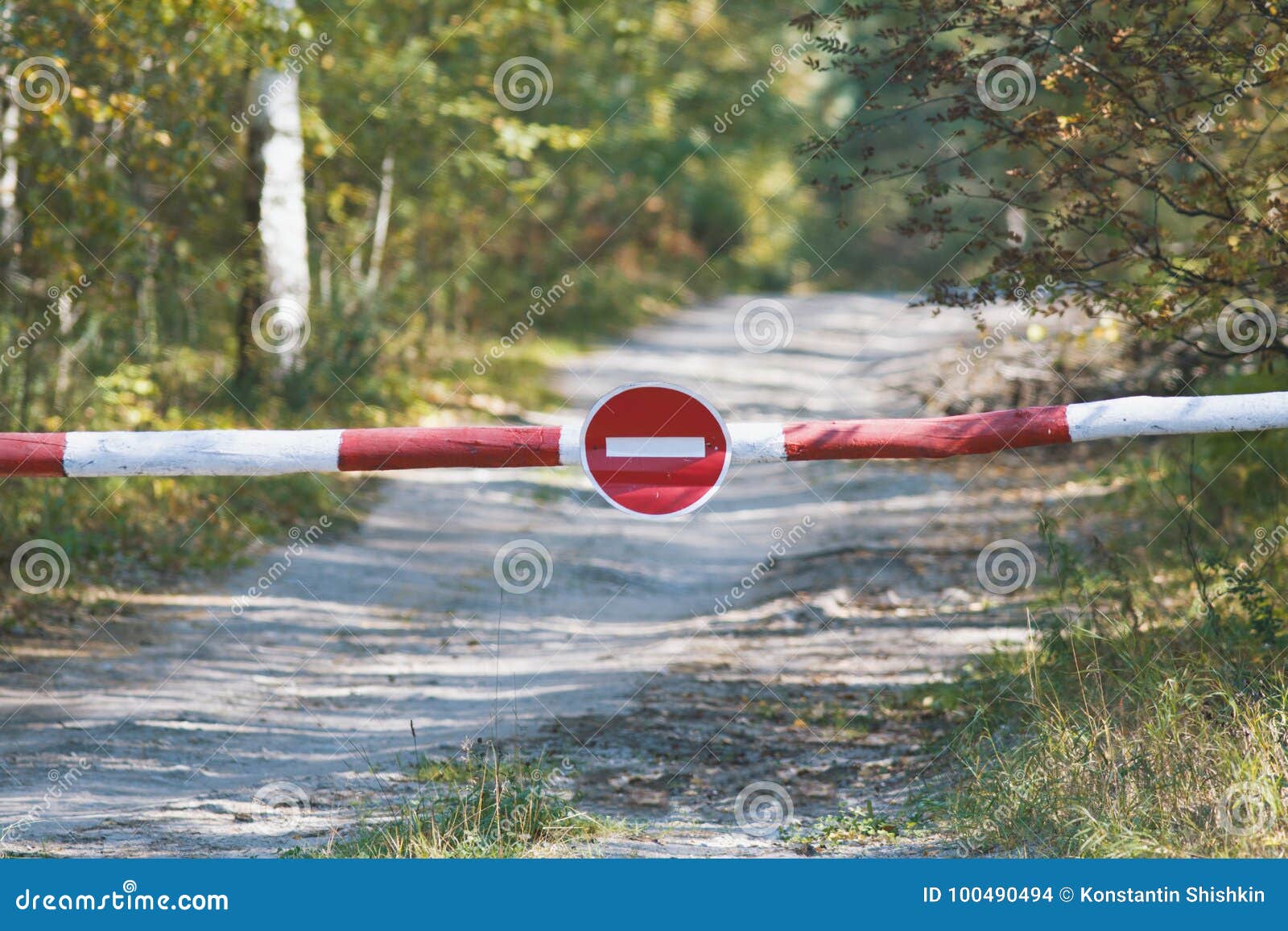 No Entry Sign in Forest - Path Representing Environmental Protection ...
