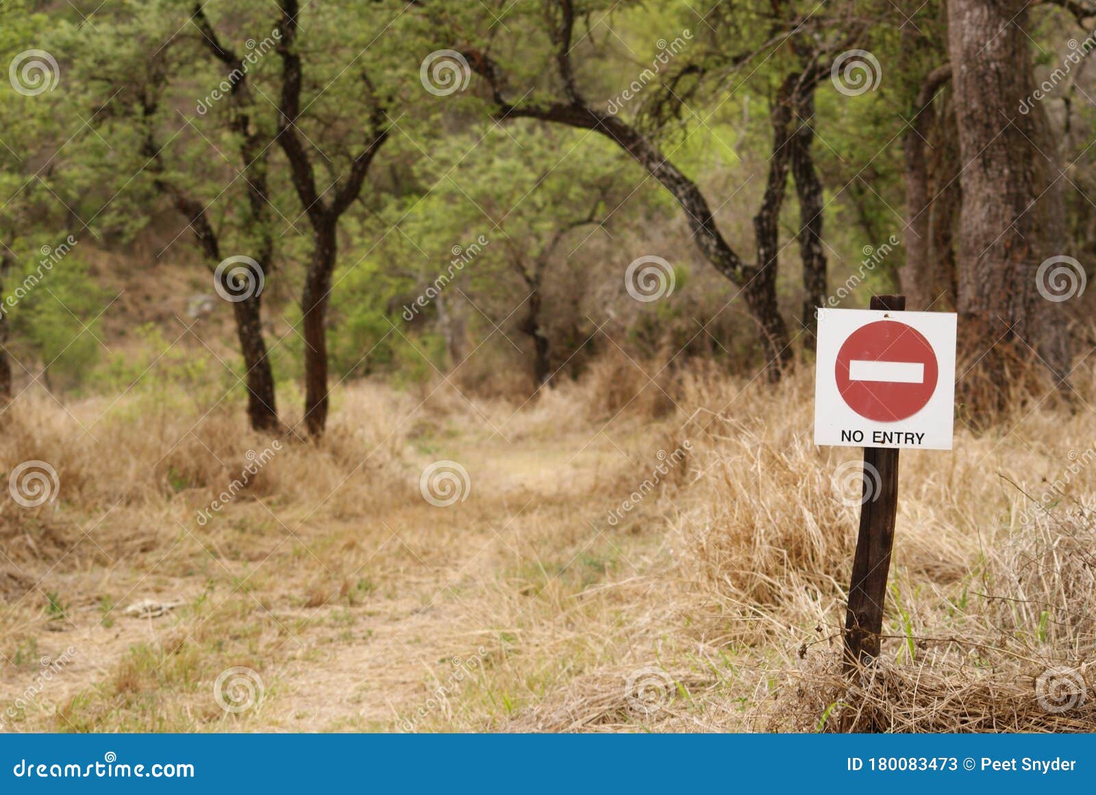 No Entry Sign on a Grass Covered Road Stock Image - Image of adventure ...
