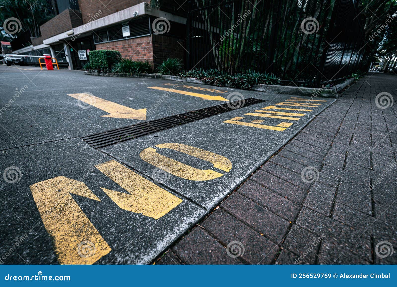 No Entry Sign Sprayed on the Road Surface Stock Image - Image of access ...