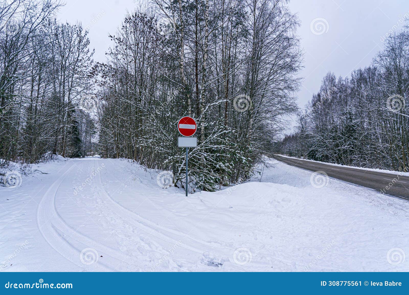 No Entry Sign between Two Roads in Winter Stock Image - Image of nature ...