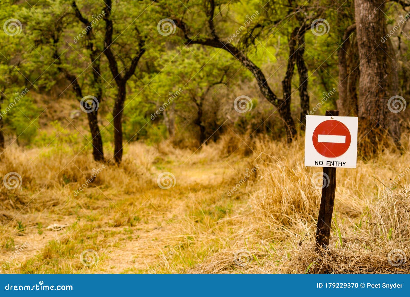 No entry sign in wild park stock photo. Image of entry - 179229370