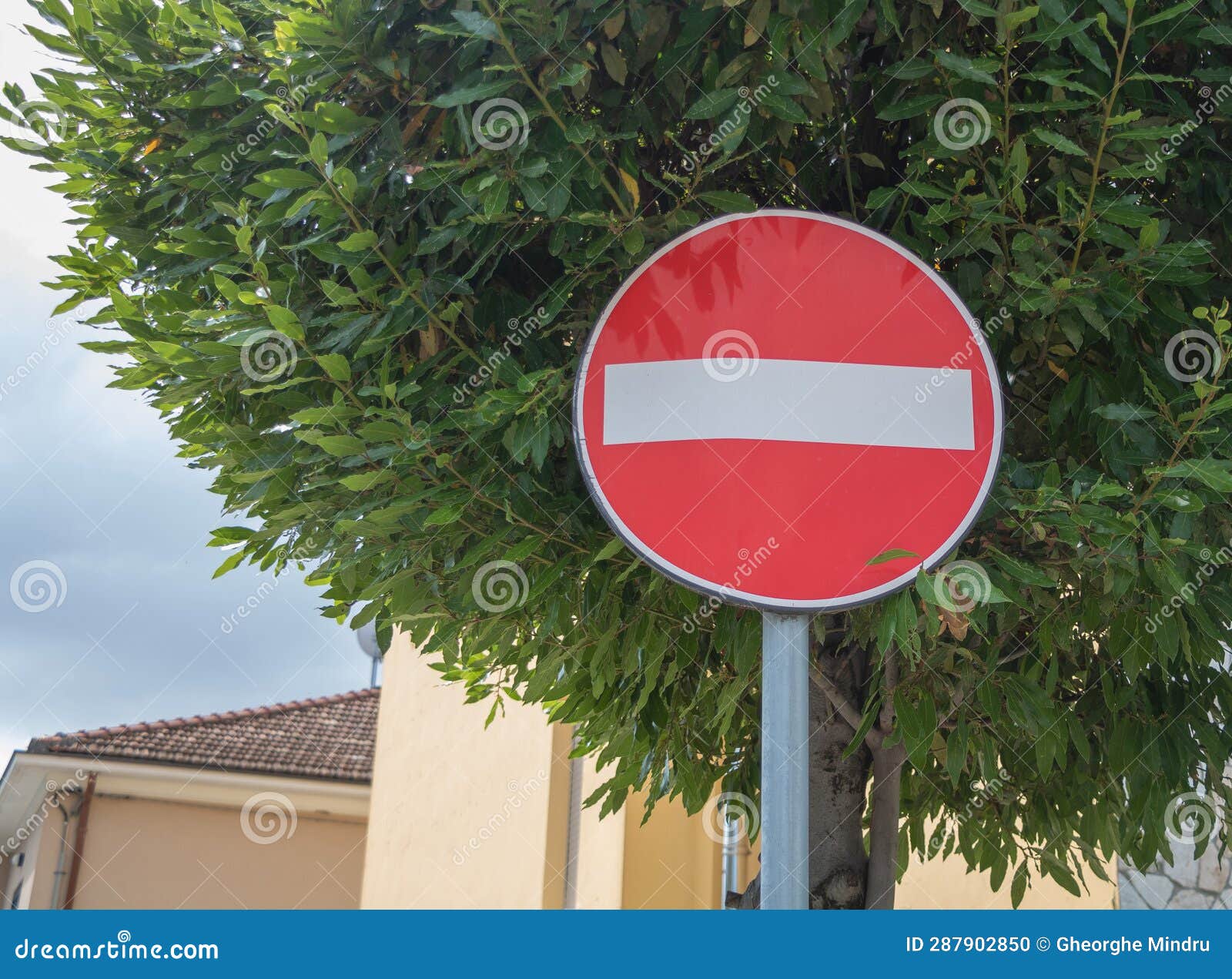 No Entry Traffic Sign on a Street in a Front of a Tree Stock Photo ...