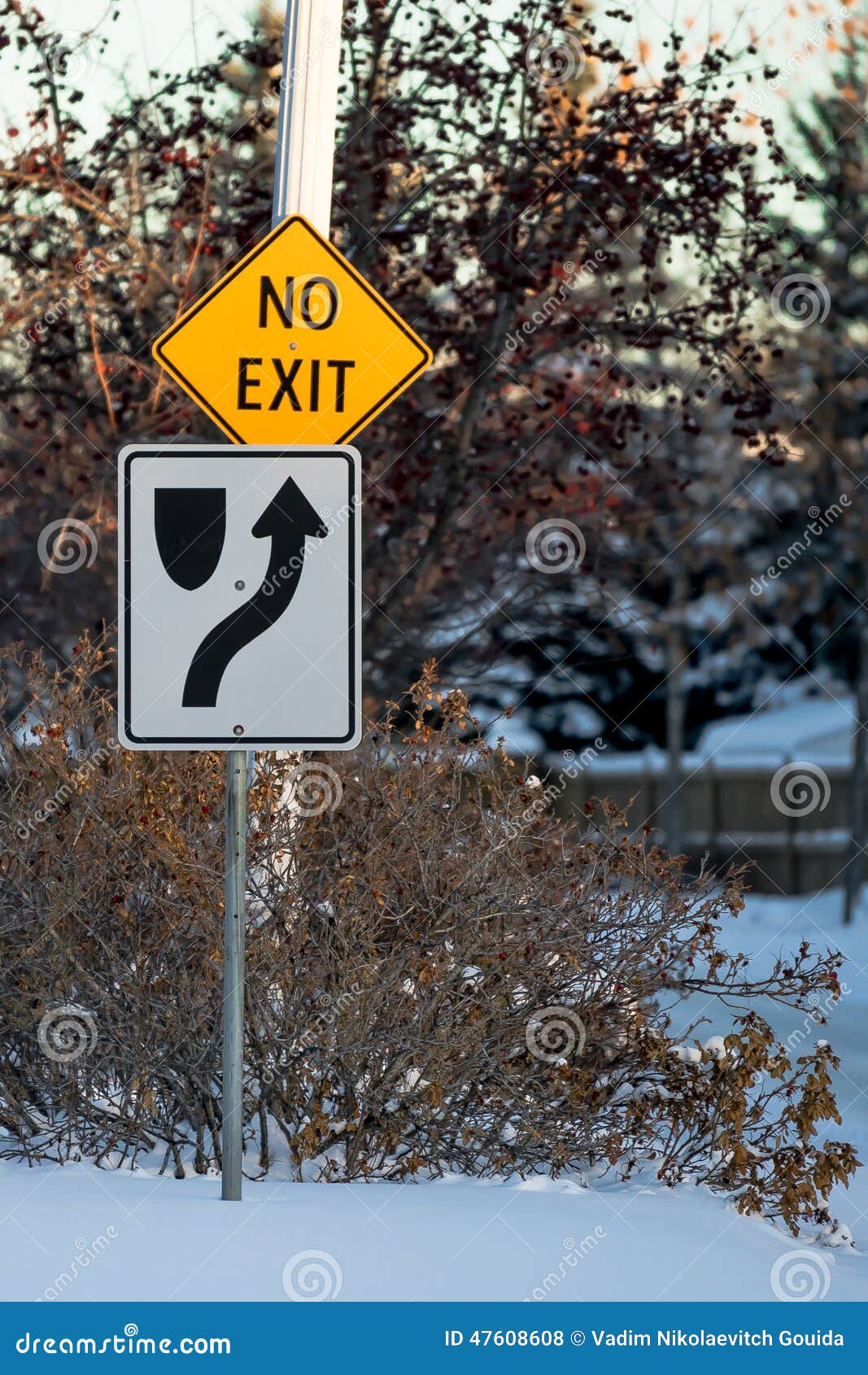 No Exit Road Sign stock photo. Image of snow, sign, direction - 47608608