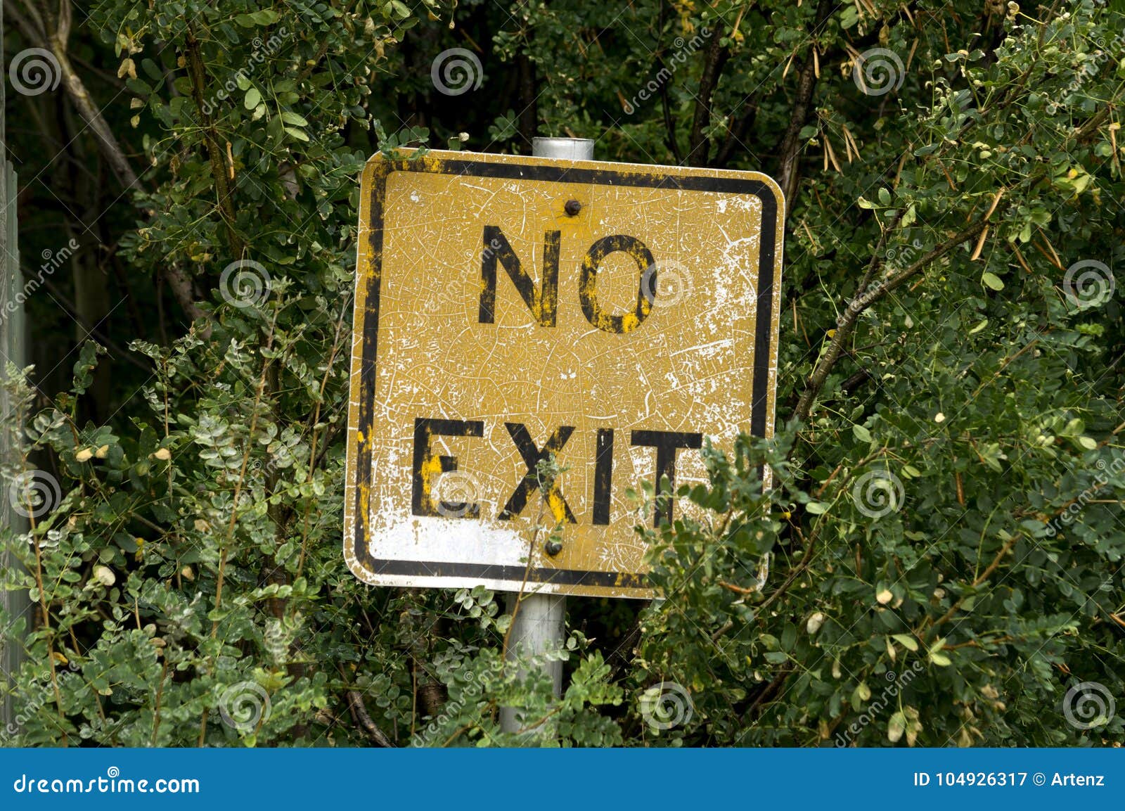 No Exit Sign in the Forest stock image. Image of dense - 104926317