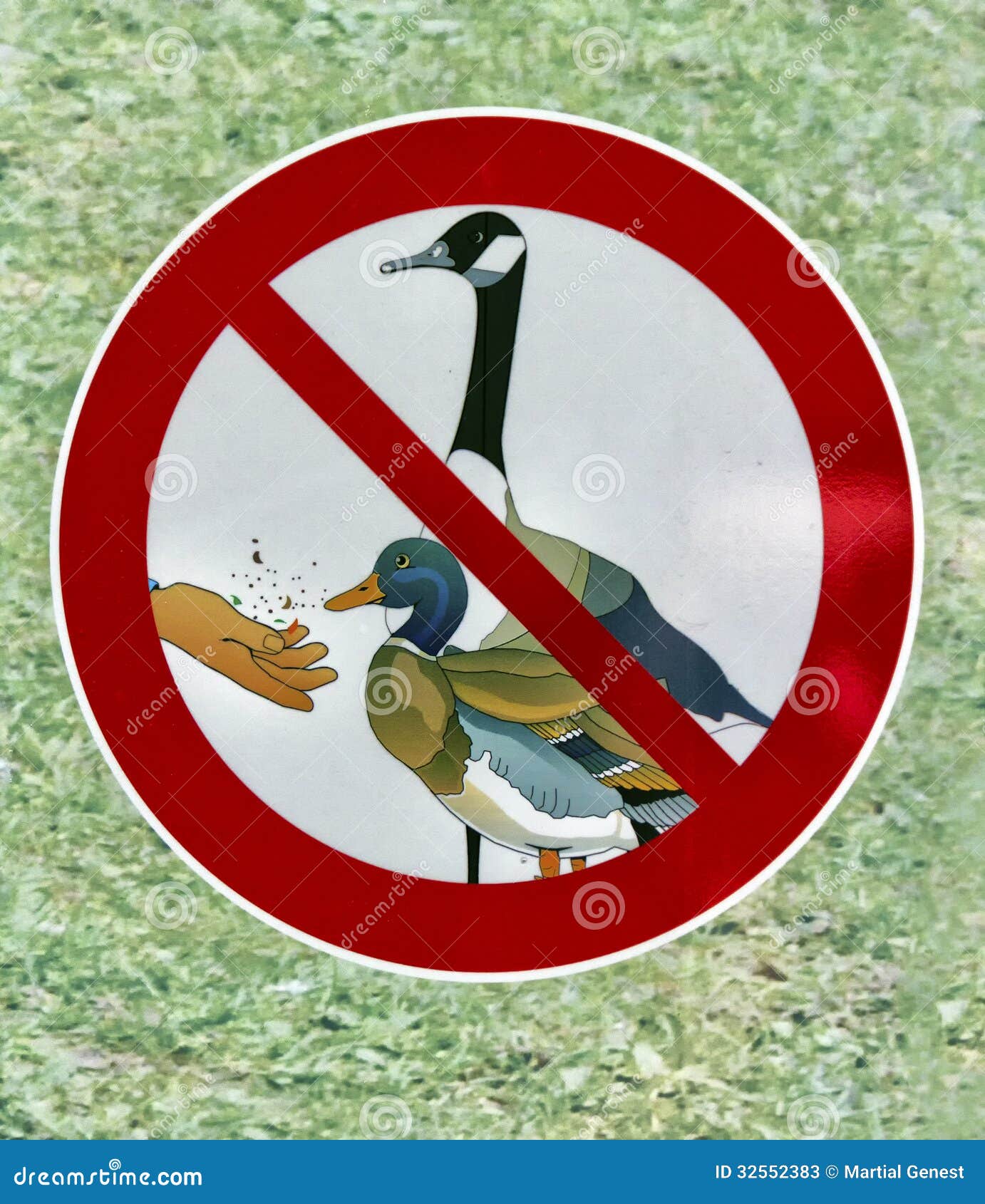 No feeding the bird sign stock image. Image of floating - 32552383
