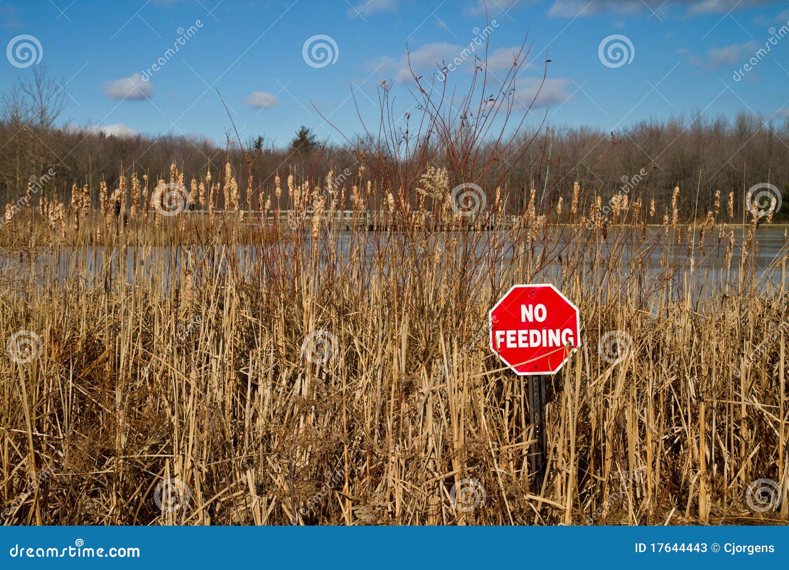 No Feeding sign stock image. Image of morning, clouds - 17644443