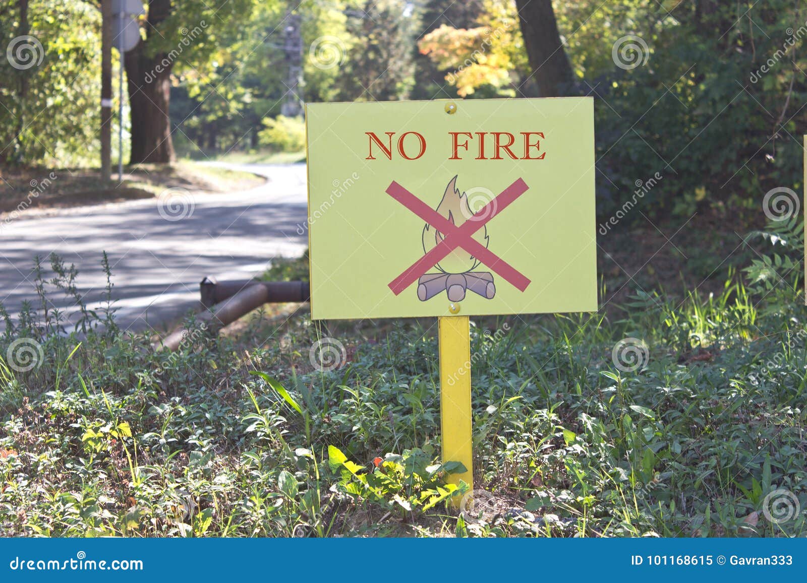 No fire sign at the forest stock image. Image of park - 101168615