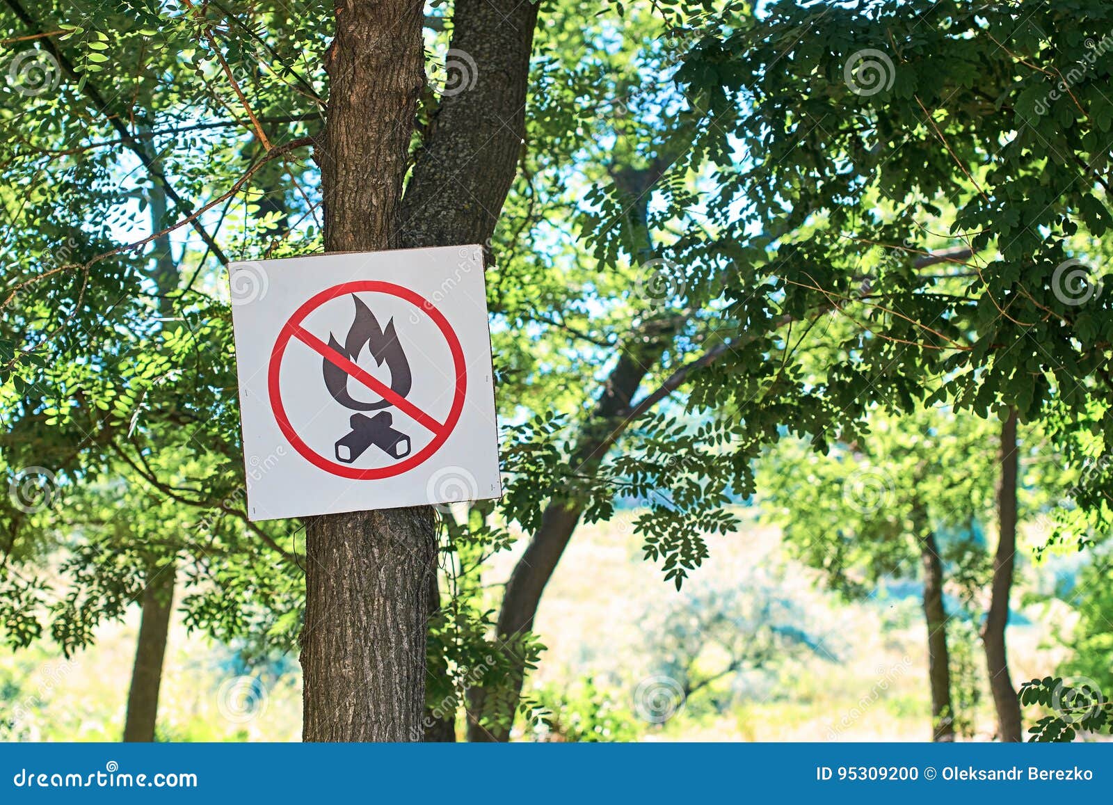 No Fire Sign in a Summer Forest Stock Photo - Image of allowed ...