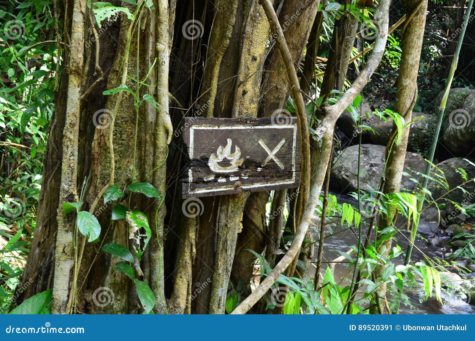 No Fire Sign on Wooden Board in the Forest Stock Image - Image of stop ...