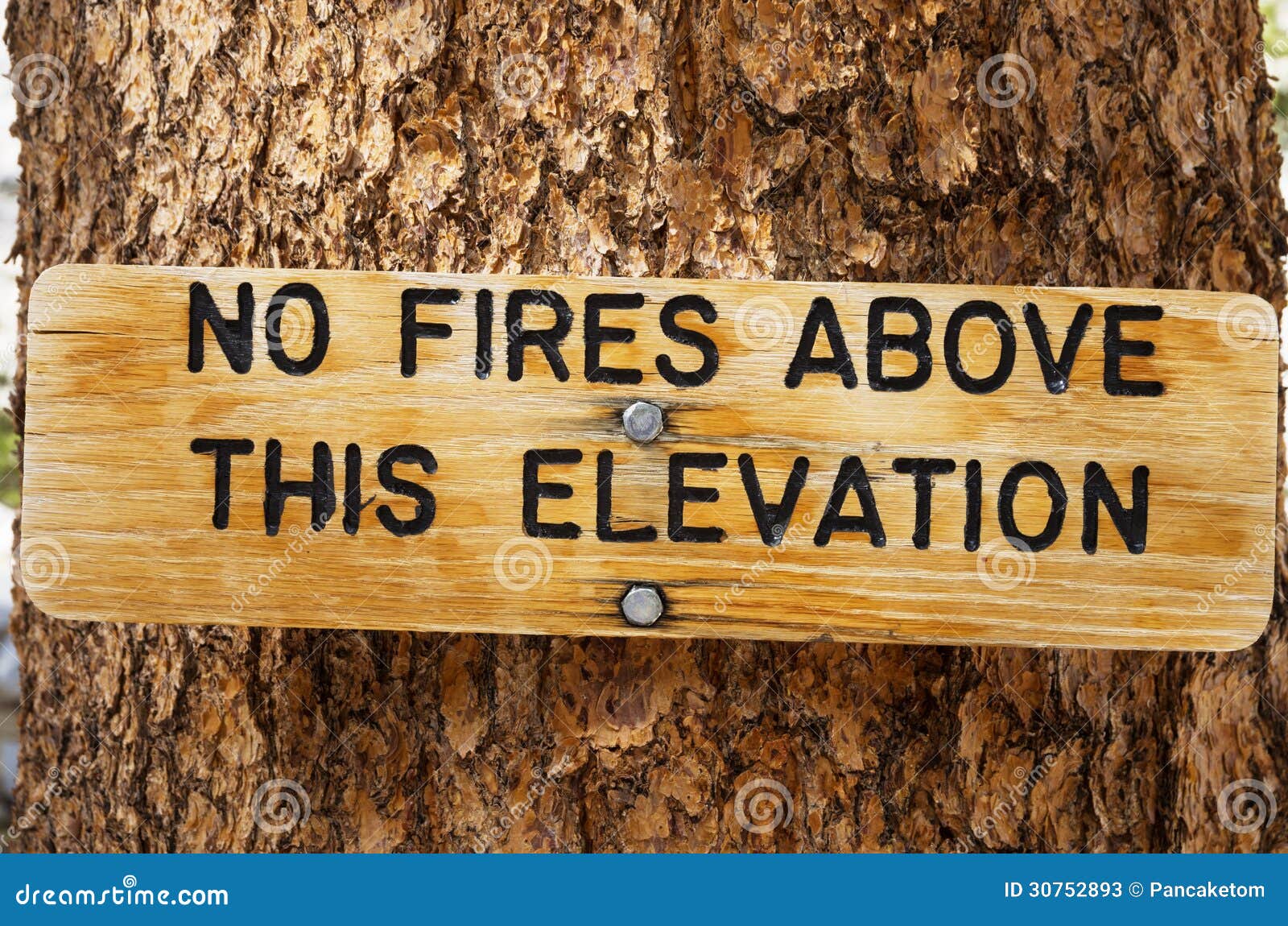 No Fires Sign stock image. Image of tree, bark, wooden - 30752893
