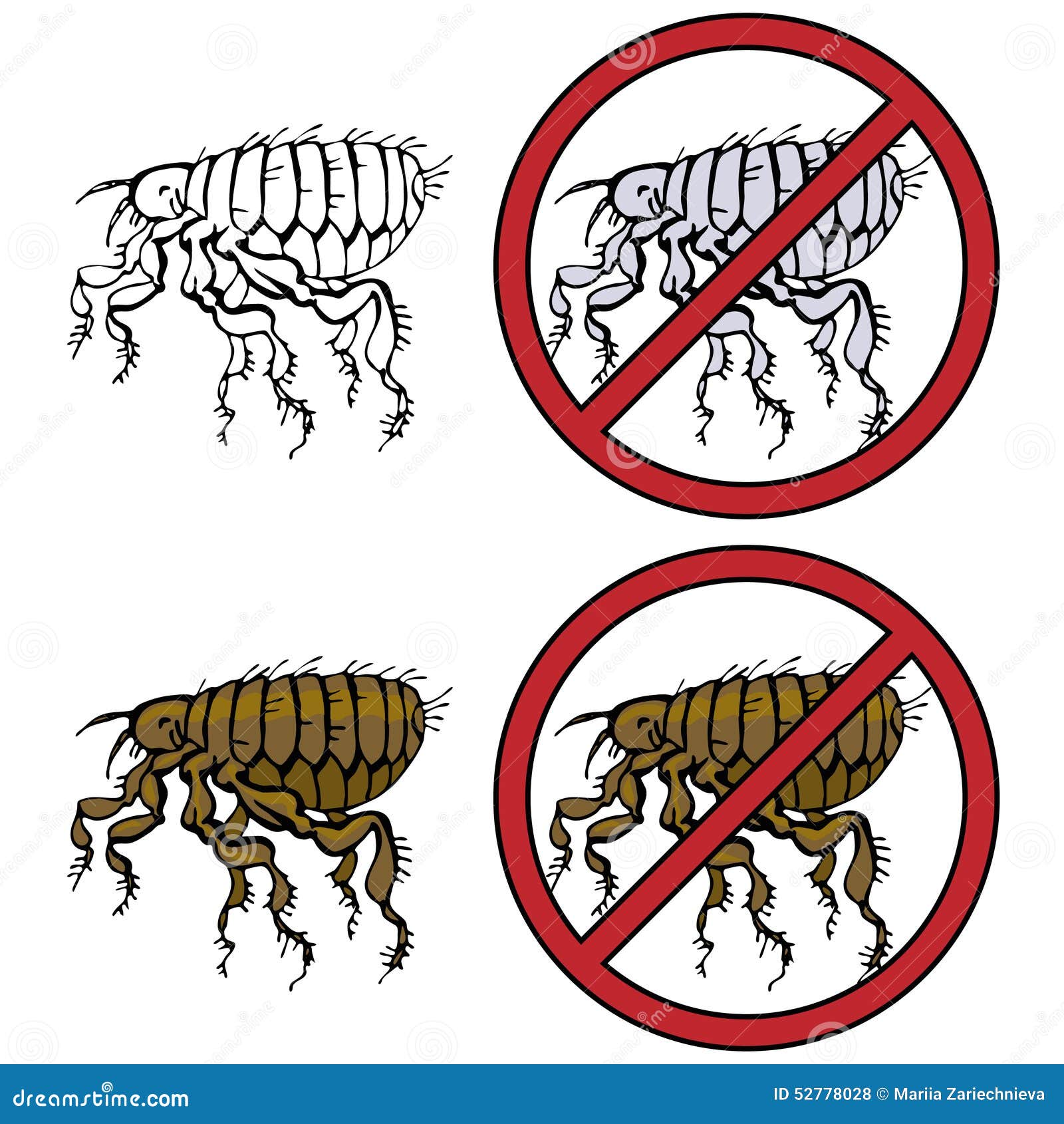 No Fleas Vector Prohibition Sign Stock Vector - Illustration of insect ...