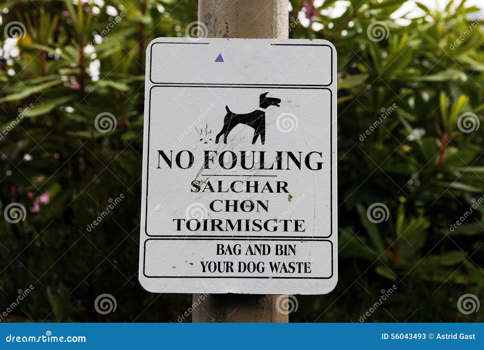 No fouling sign stock image. Image of eighth, owner, waste - 56043493 No fouling sign stock image. Image of eighth, owner, waste - 56043493