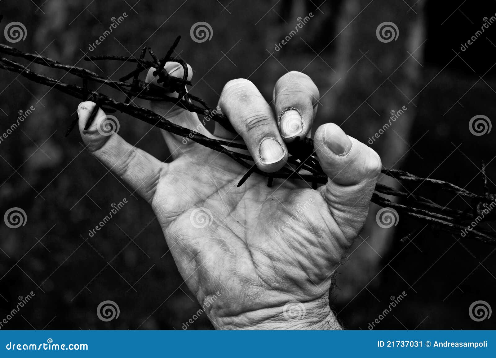 No freedom stock image. Image of white, freedom, nazism - 21737031