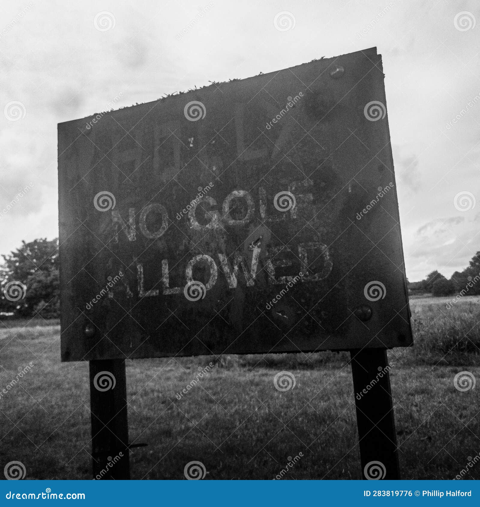 No golf allowed sign stock photo. Image of sign, tree - 283819776