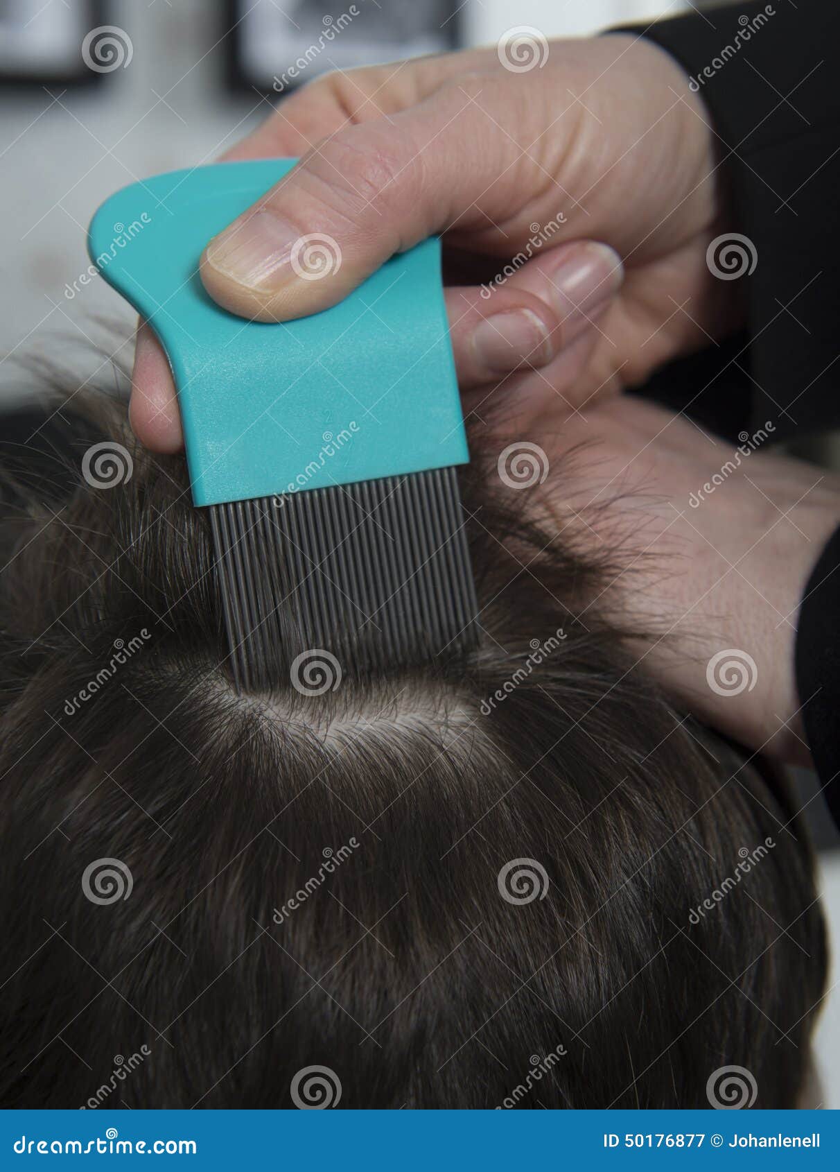 No Lice Stock Photos - Free & Royalty-Free Stock Photos from Dreamstime