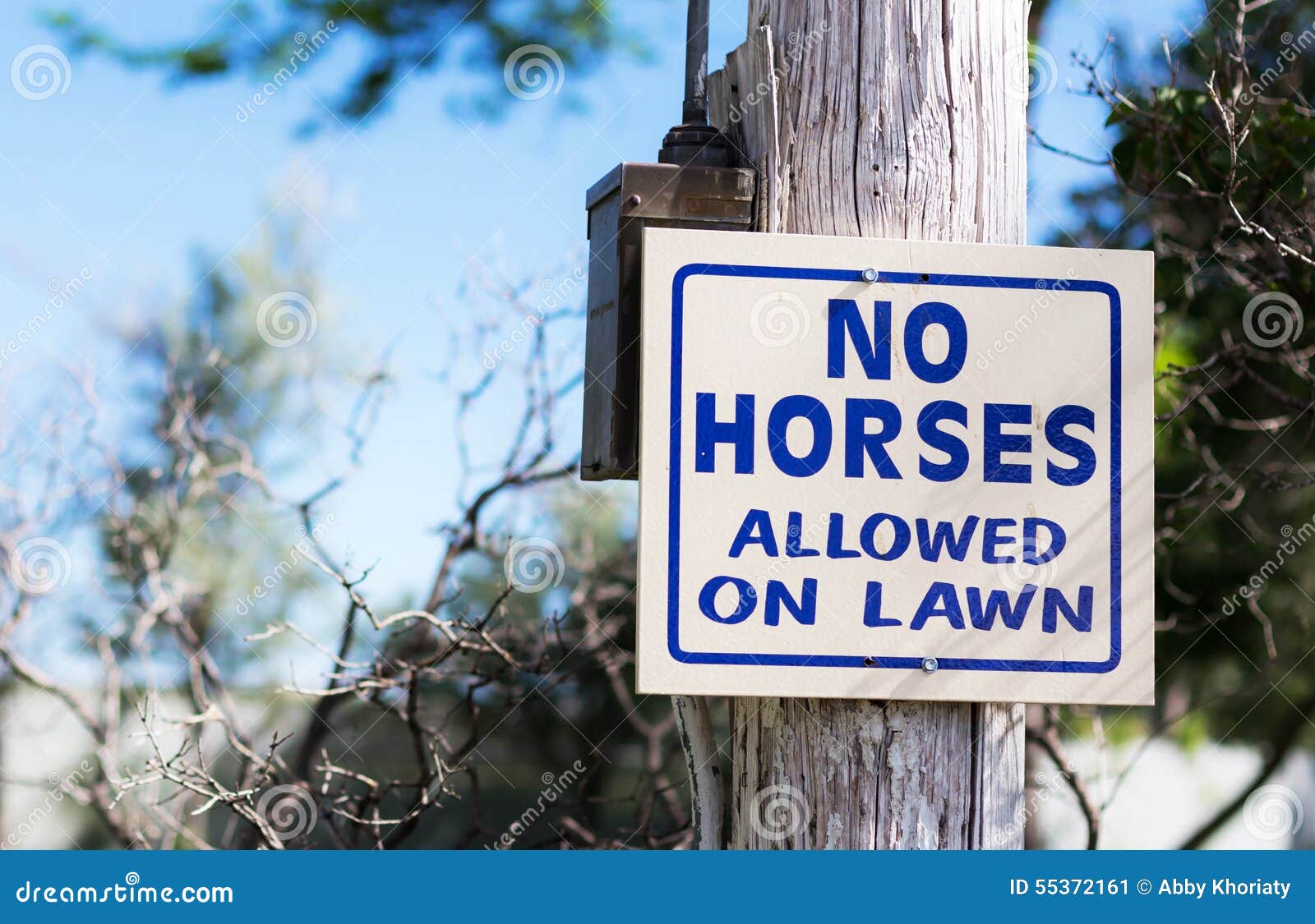 No Horses Allowed on Lawn stock image. Image of allowed - 55372161