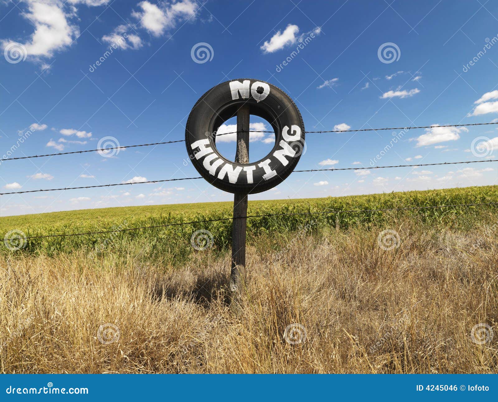 No Hunting notice. stock photo. Image of warning, communication - 4245046