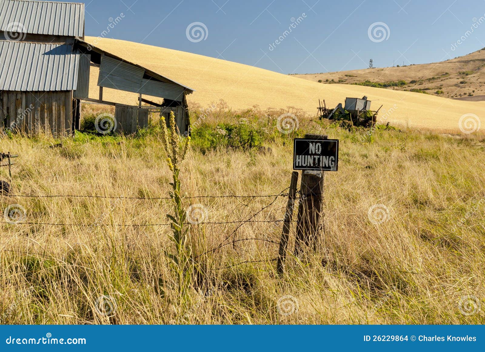 No Hunting sign on a farm stock photo. Image of fence - 26229864