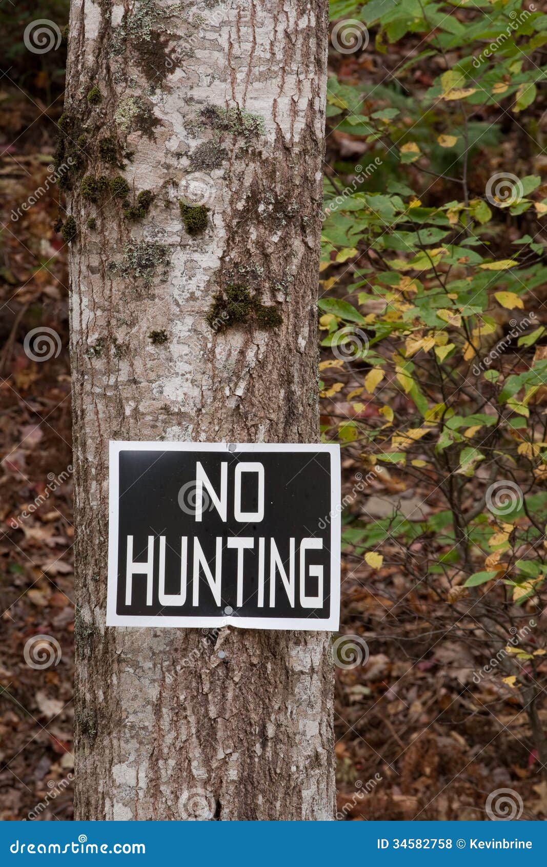 No Hunting stock photo. Image of country, deer, trespassing - 34582758