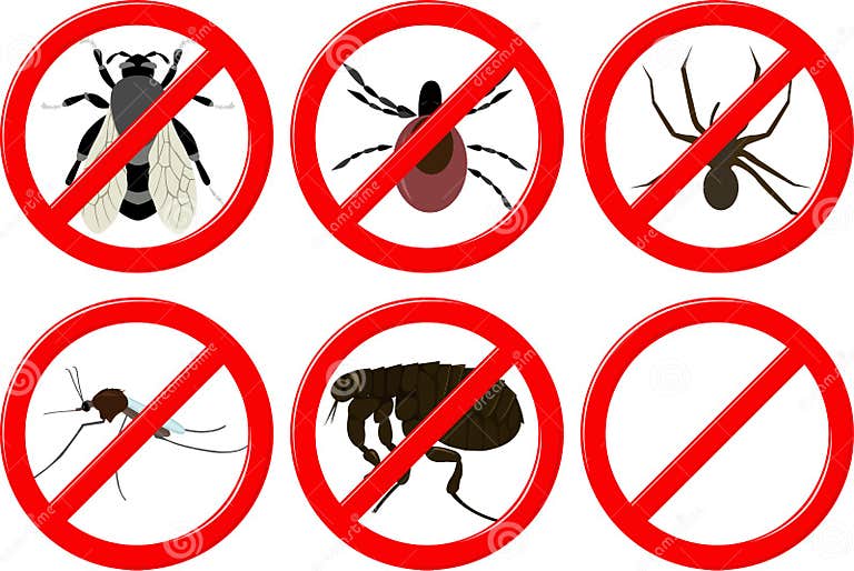 No insects stock vector. Illustration of wing, nature - 28544594