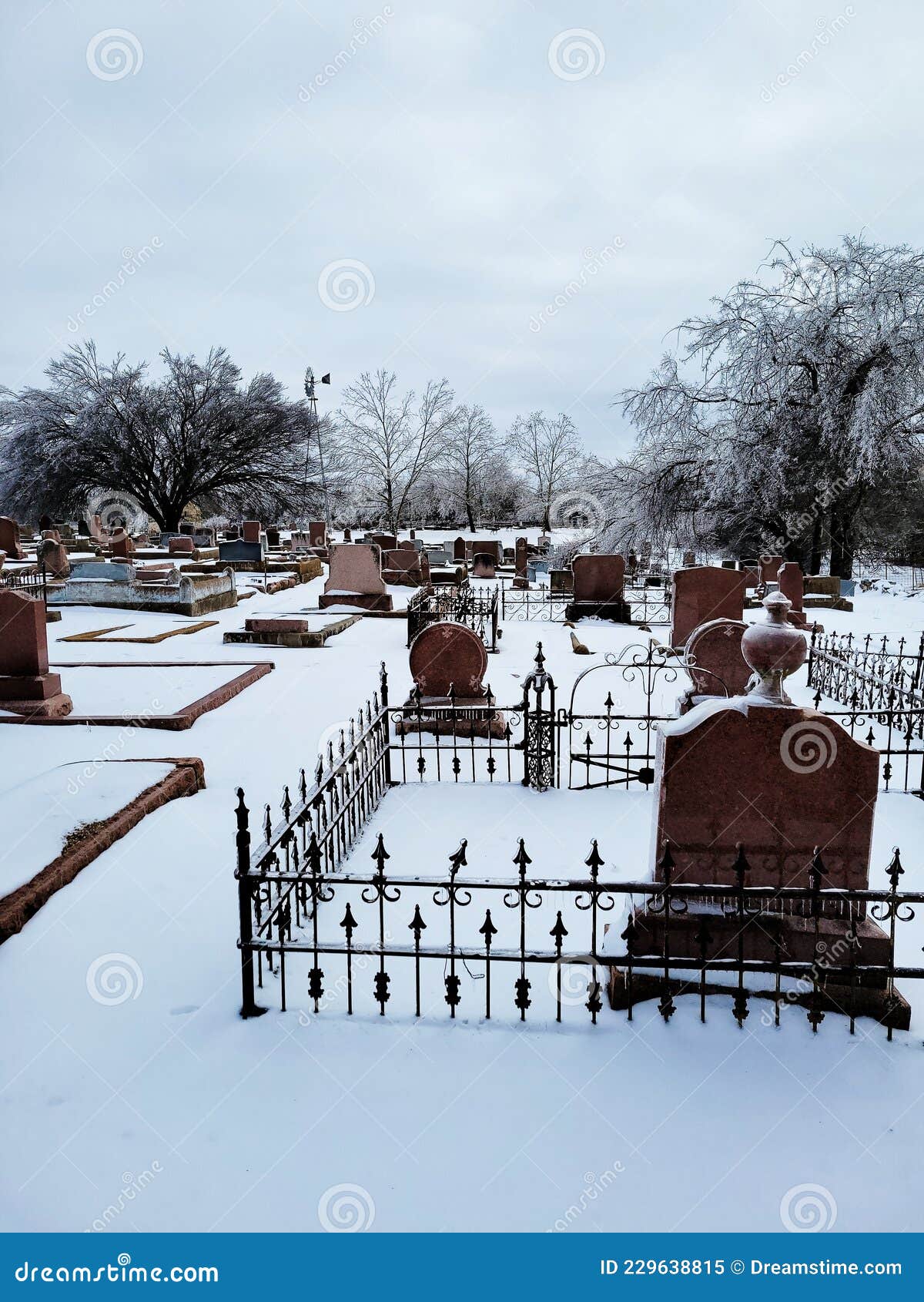 No life lost stock image. Image of snow, home, morning - 229638815