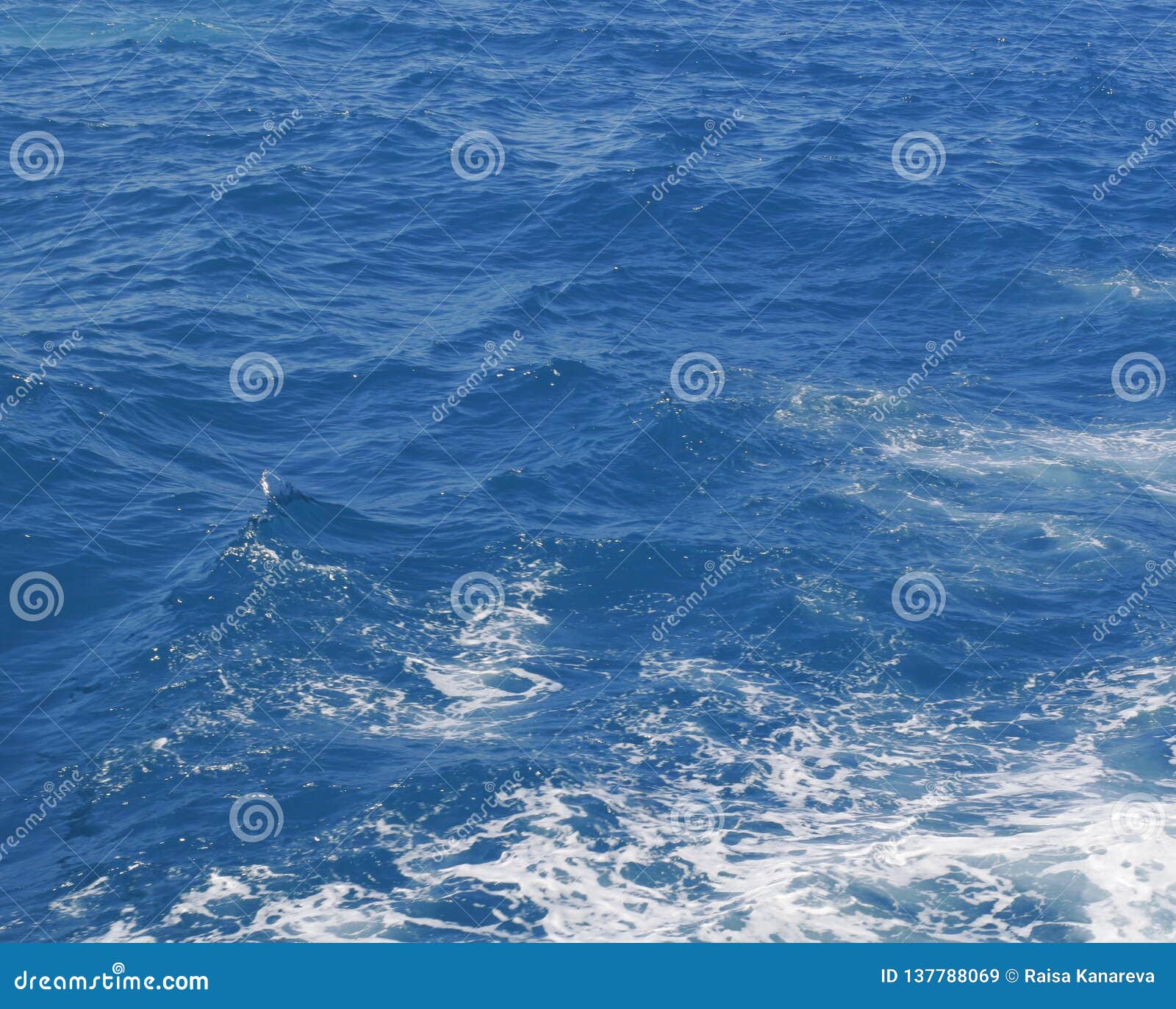 No mar tropical aberto imagem de stock. Imagem de oceano - 137788069