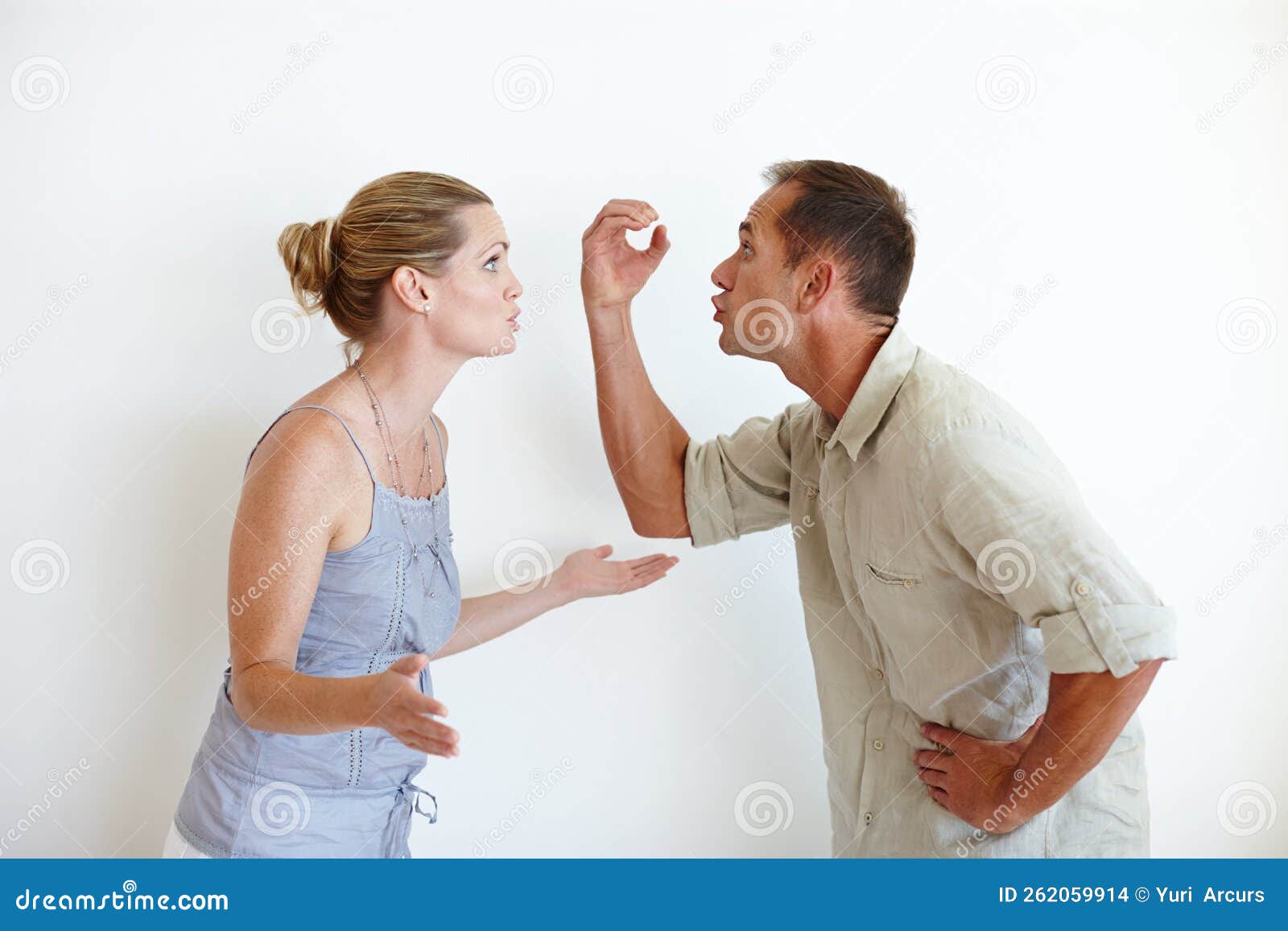 No One Ever Said that it Would Be this Hard. a Couple Arguing ...