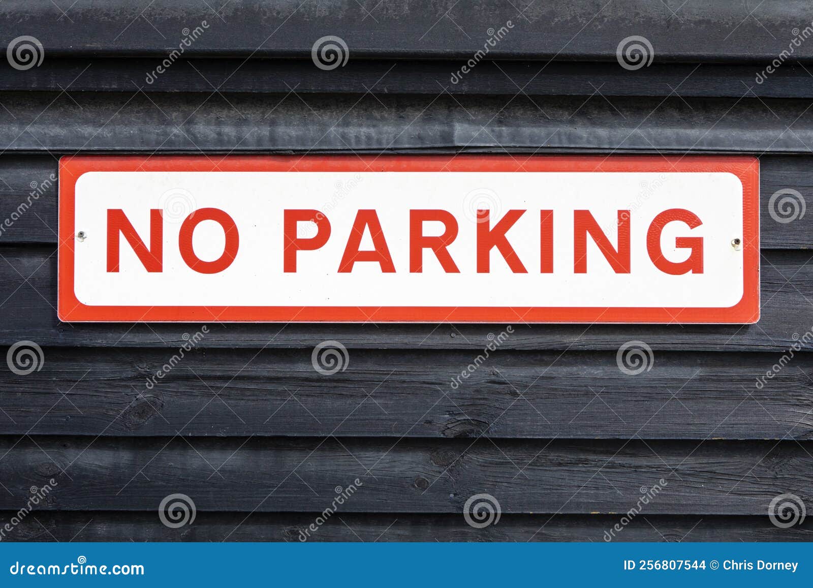 No Parking stock photo. Image of wrongful, busy, vehicle - 256807544