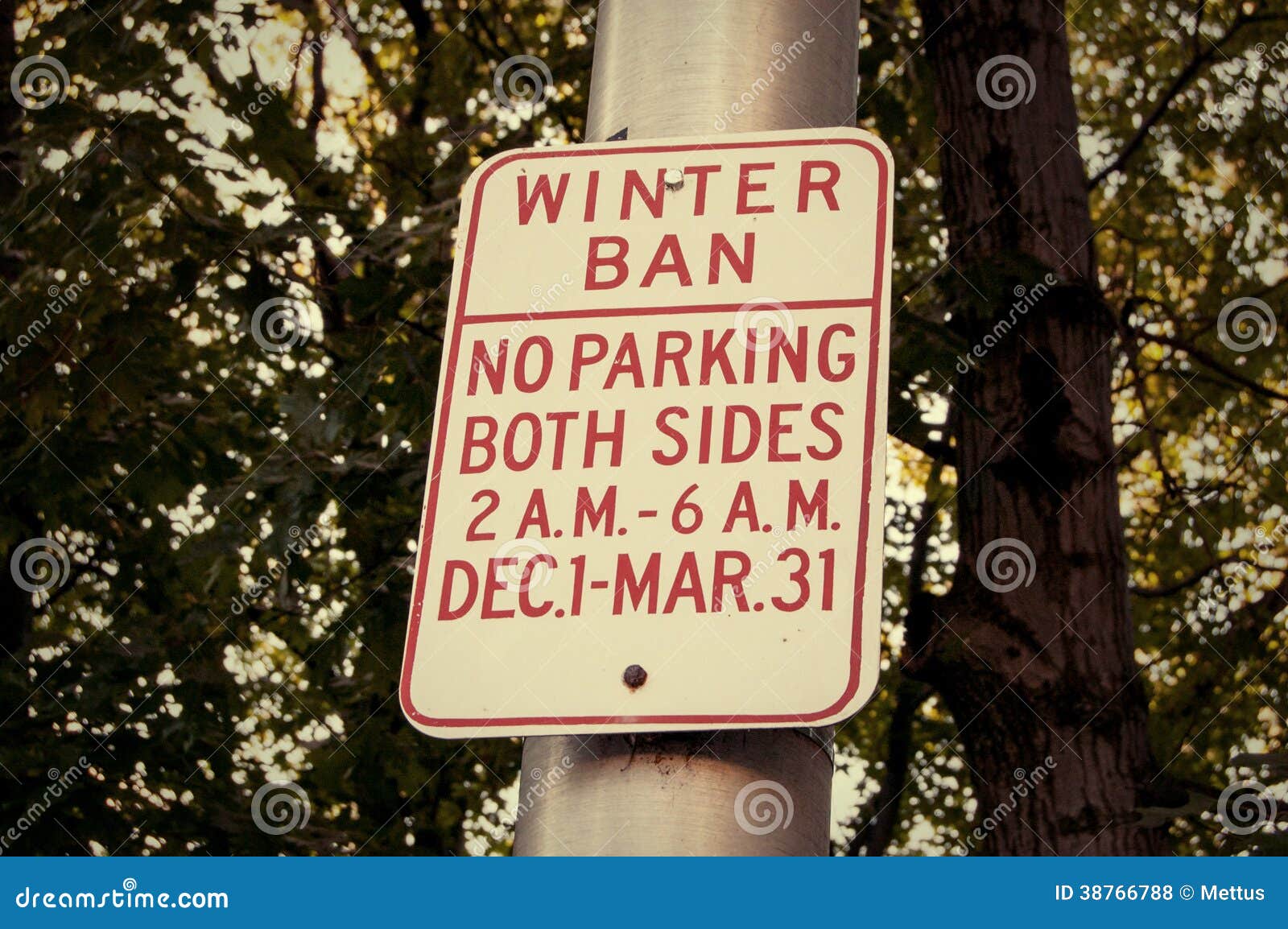 No parking Road Sign stock photo. Image of right, traffic - 38766788