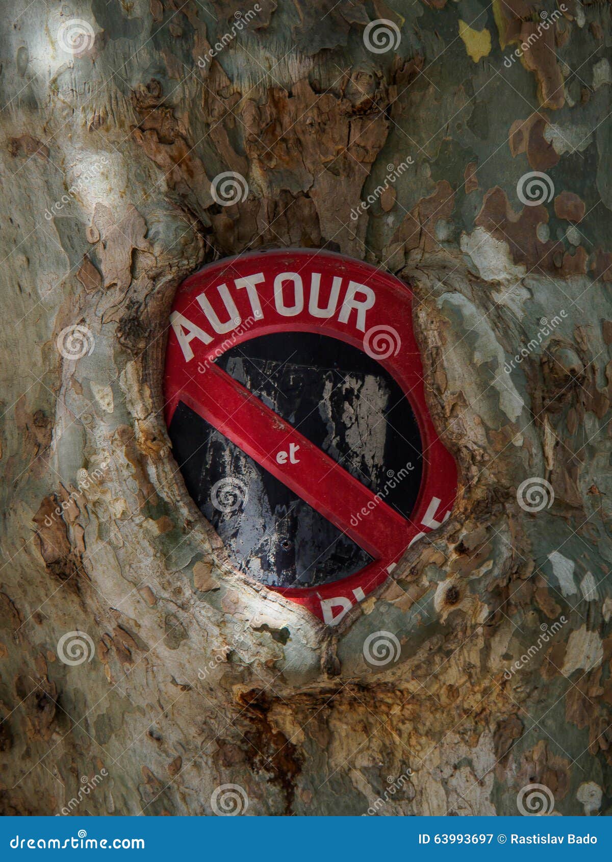 No Parking stock image. Image of tree, bark, bind, ingrained - 63993697