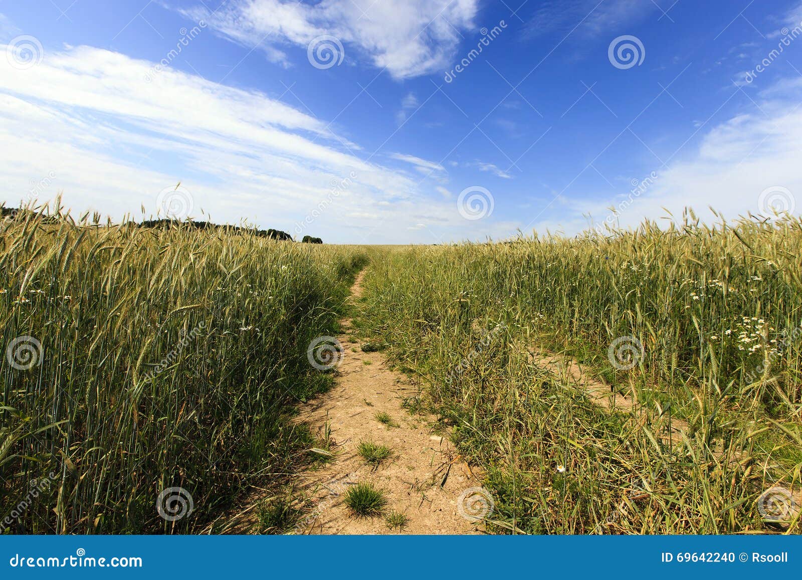 No paved road stock photo. Image of country, landscape - 69642240