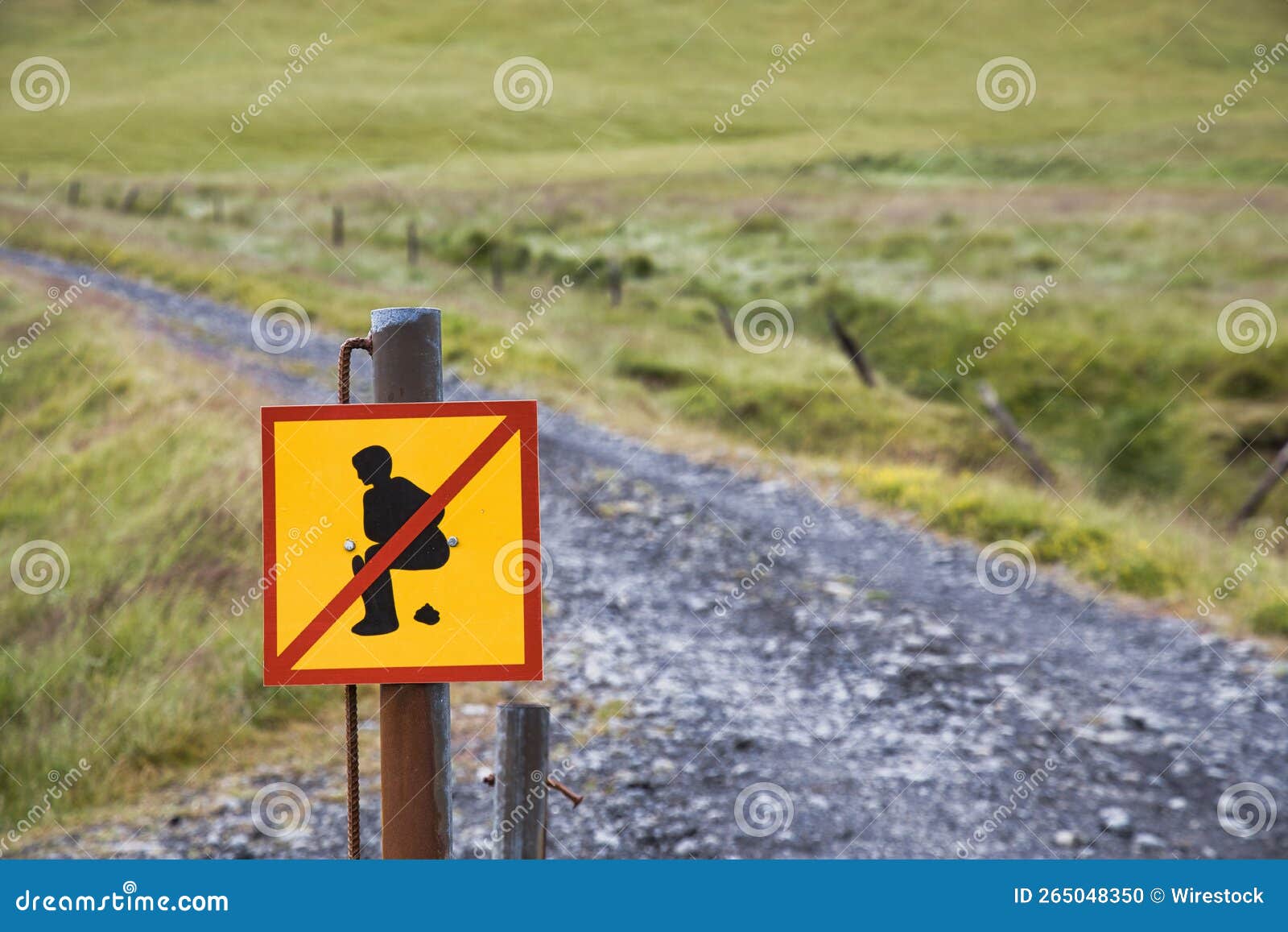 No Pooping Sign on a Metal Post Outdoors Stock Photo - Image of road ...