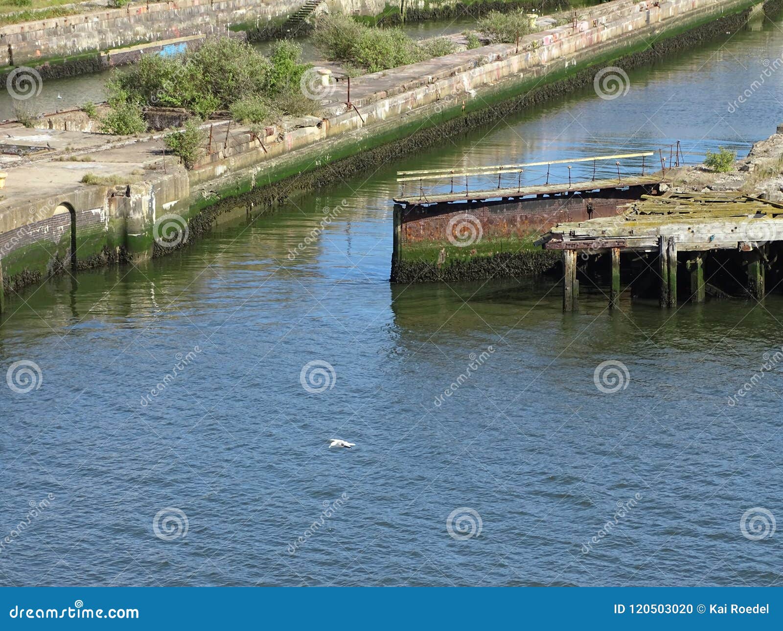 No porto de Newcastle foto de stock. Imagem de costa - 120503020