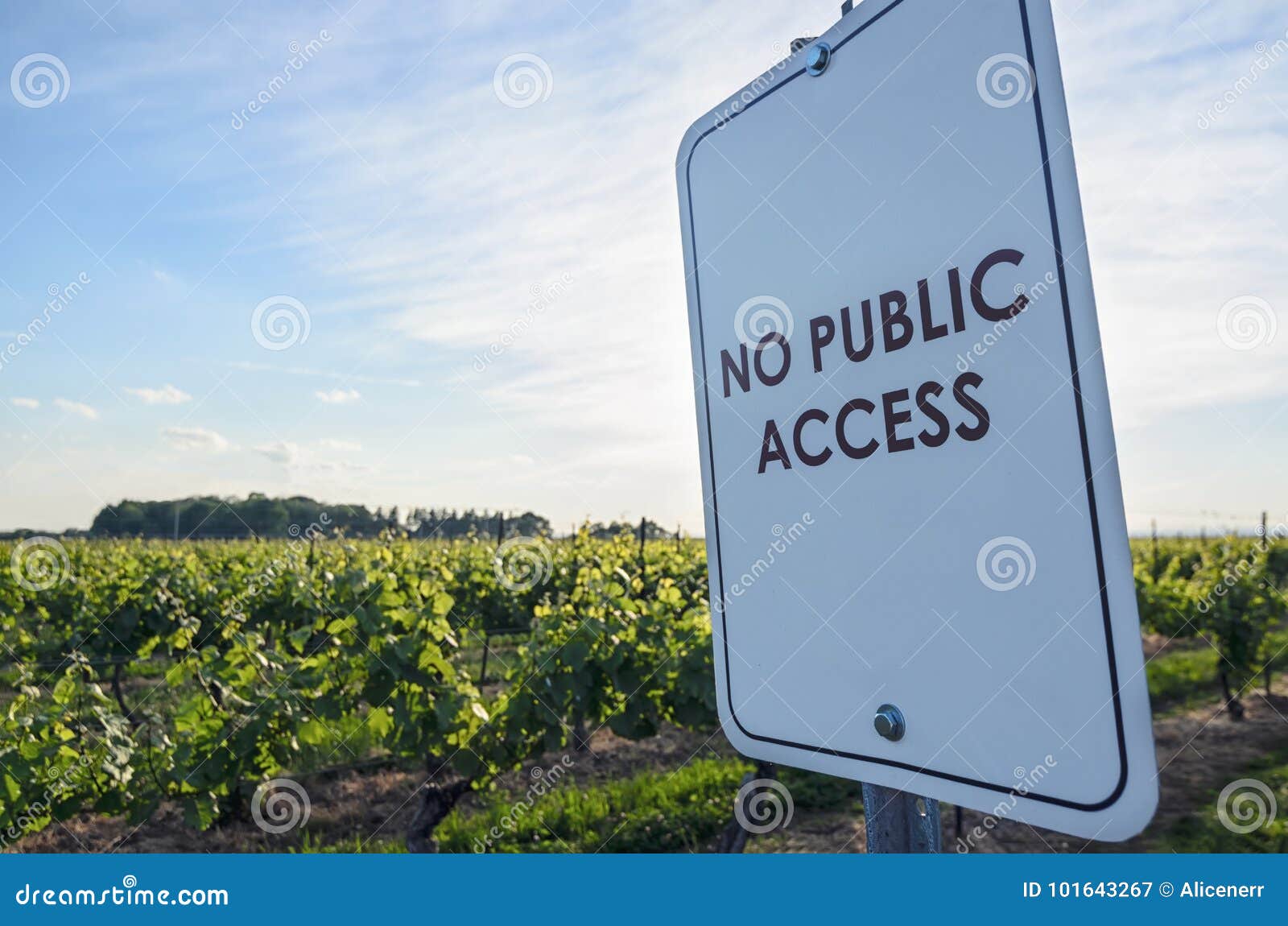 No Public Access Sign at the Winery Stock Image - Image of public, yard ...