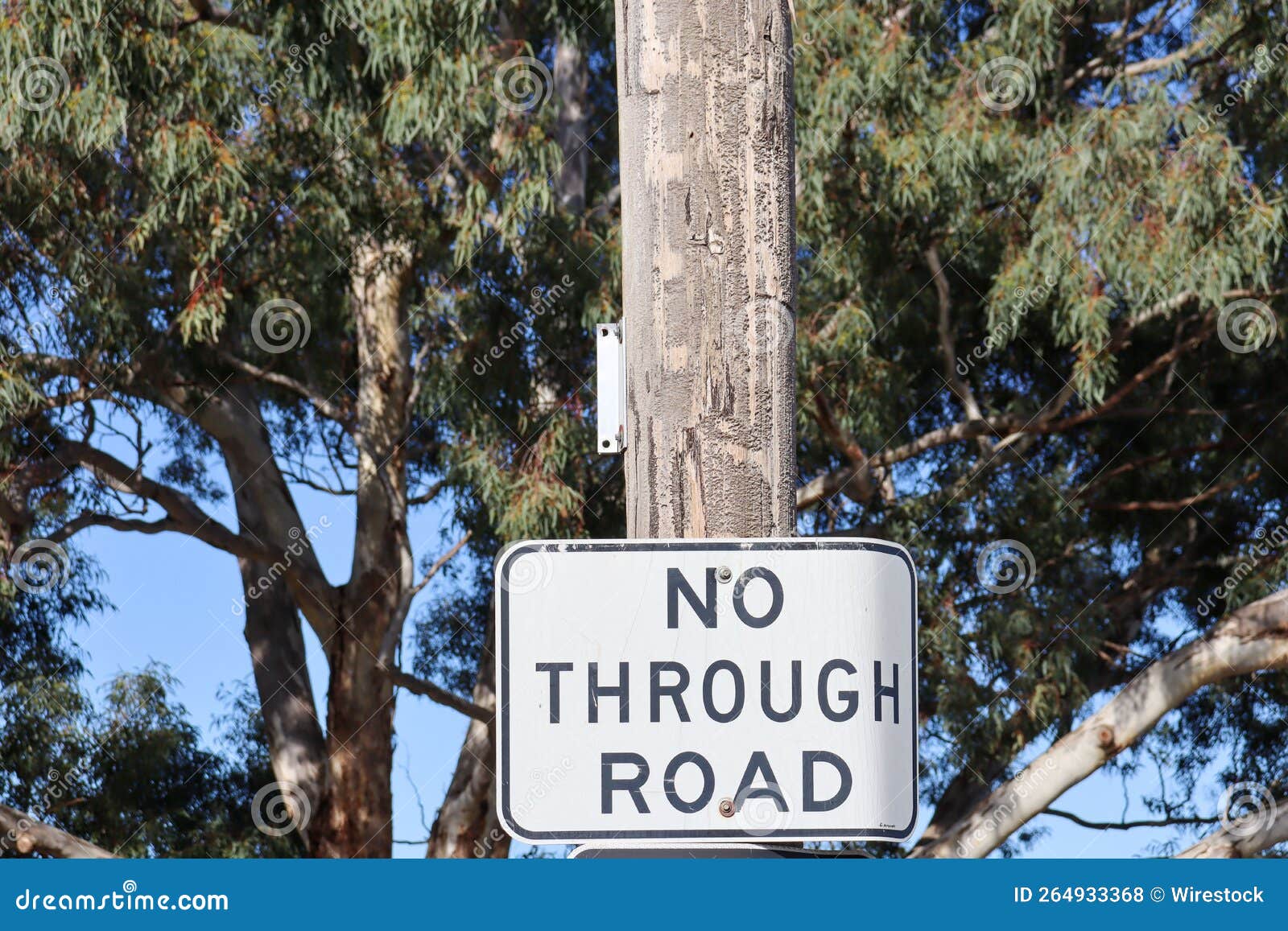 No through Road Sign on a Tree Trunk Stock Photo - Image of road, path ...
