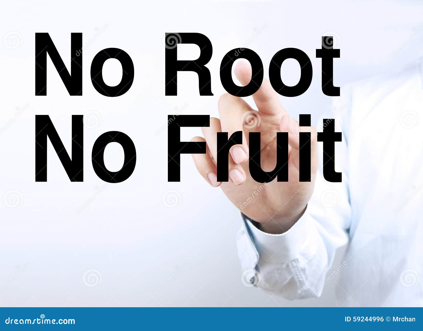 No Root No Fruit stock photo. Image of creative, hard - 59244996