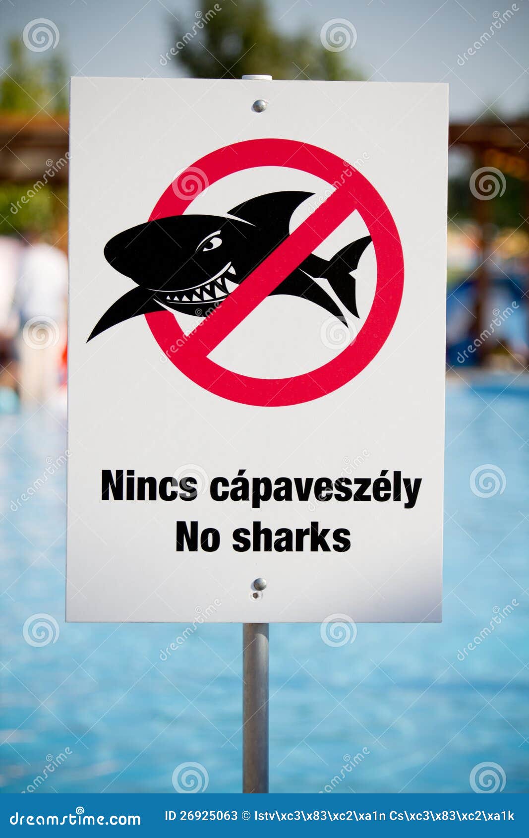 No sharks stock image. Image of silhouette, stop, pool - 26925063