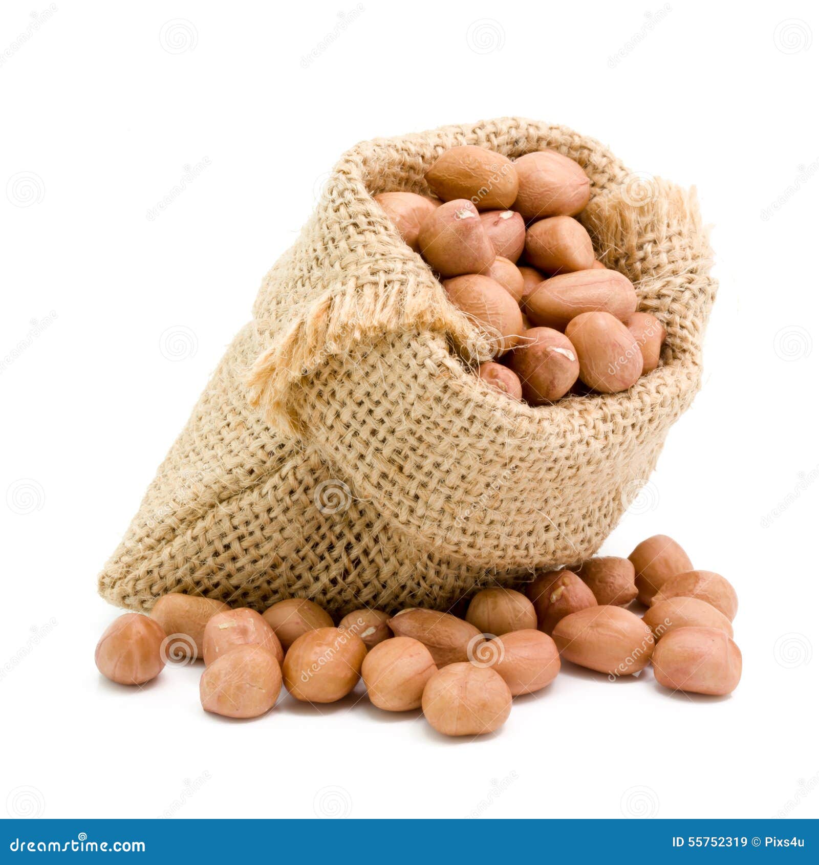 No Shell Dry Peanut in Sack Stock Image - Image of macro, background ...